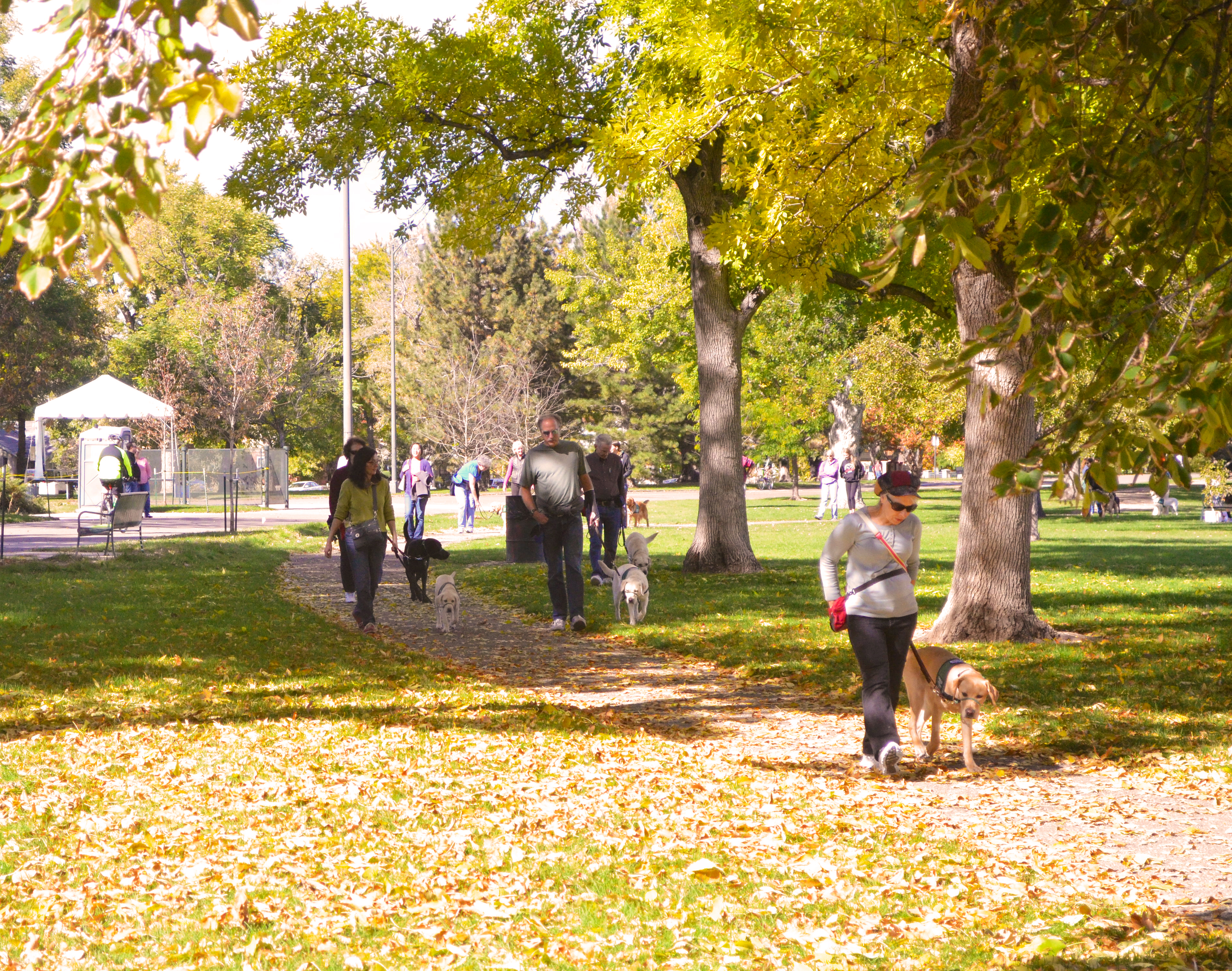 Washington Park - Diagonal by Stream Design Landscape Architecture ...