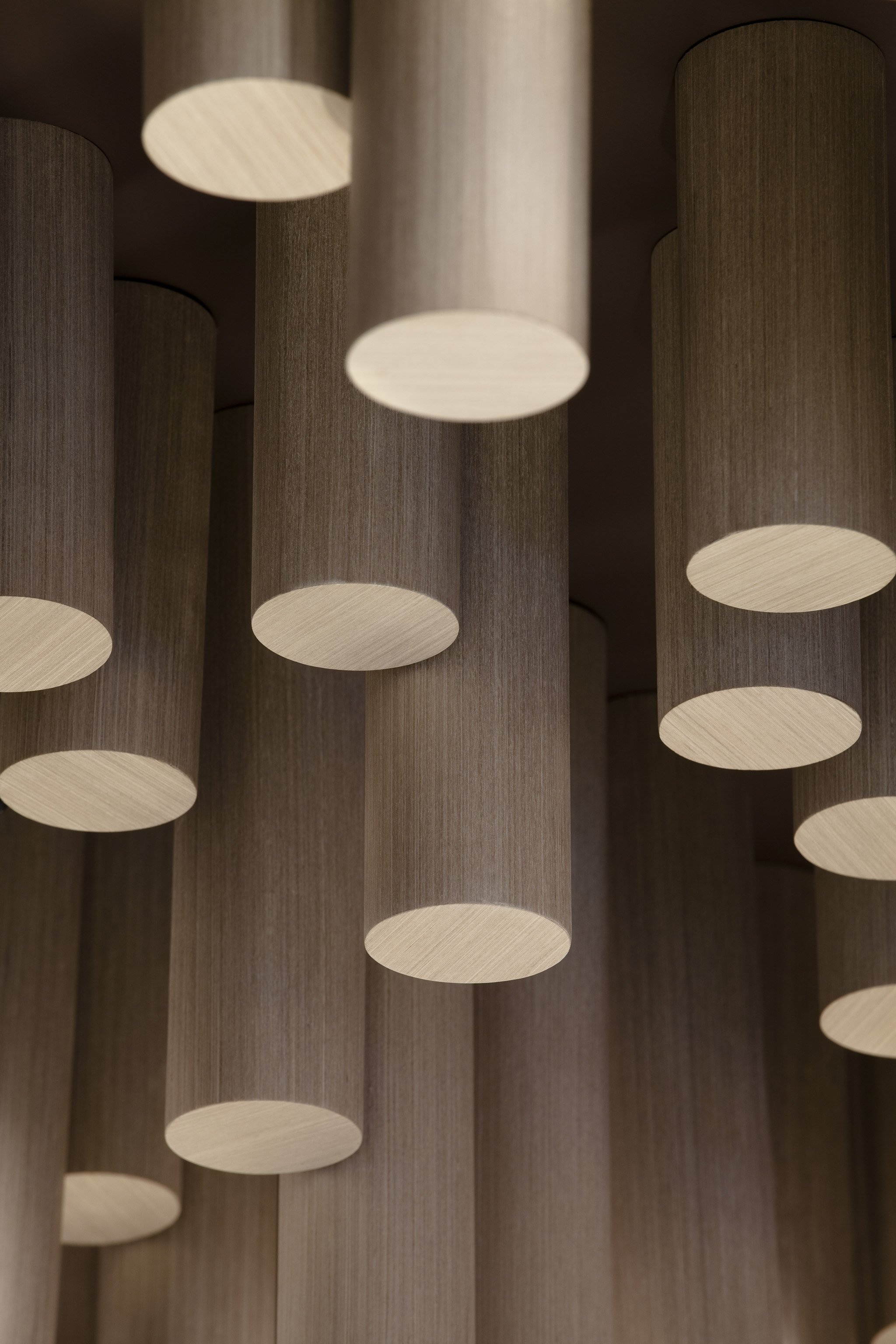 The Tree Project by Lukstudio - Architizer