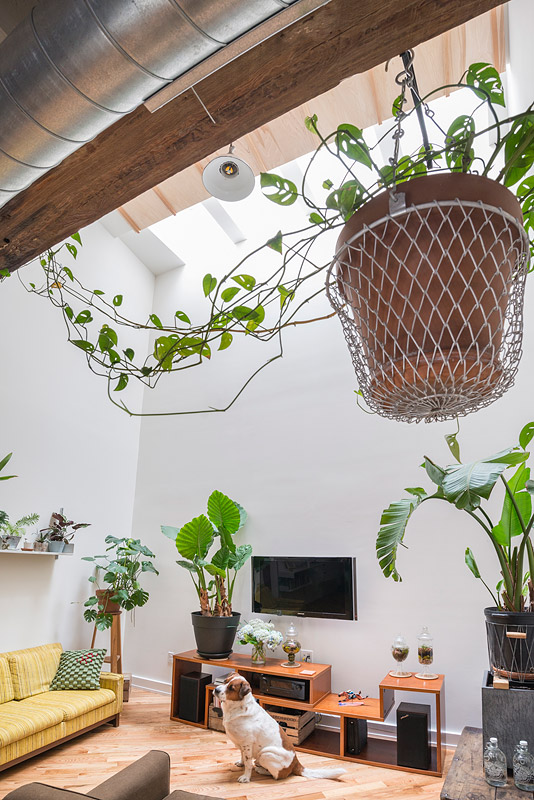 Pickle Factory by Bright Common - Architizer