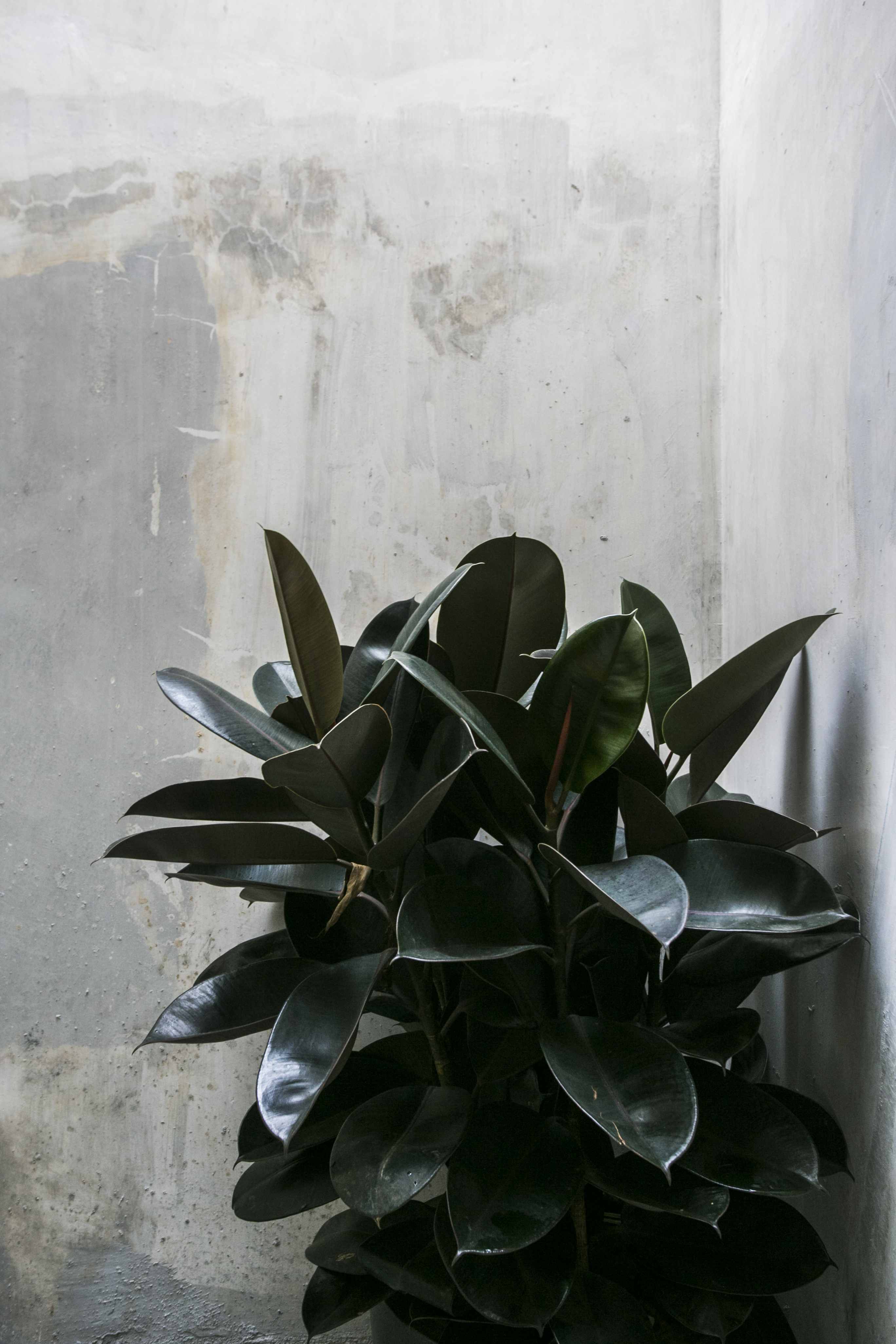 Idea 1225353: SiLALiMA by DIA DESIGN INTERIOR ARCHITECTURE in Kuantan ...