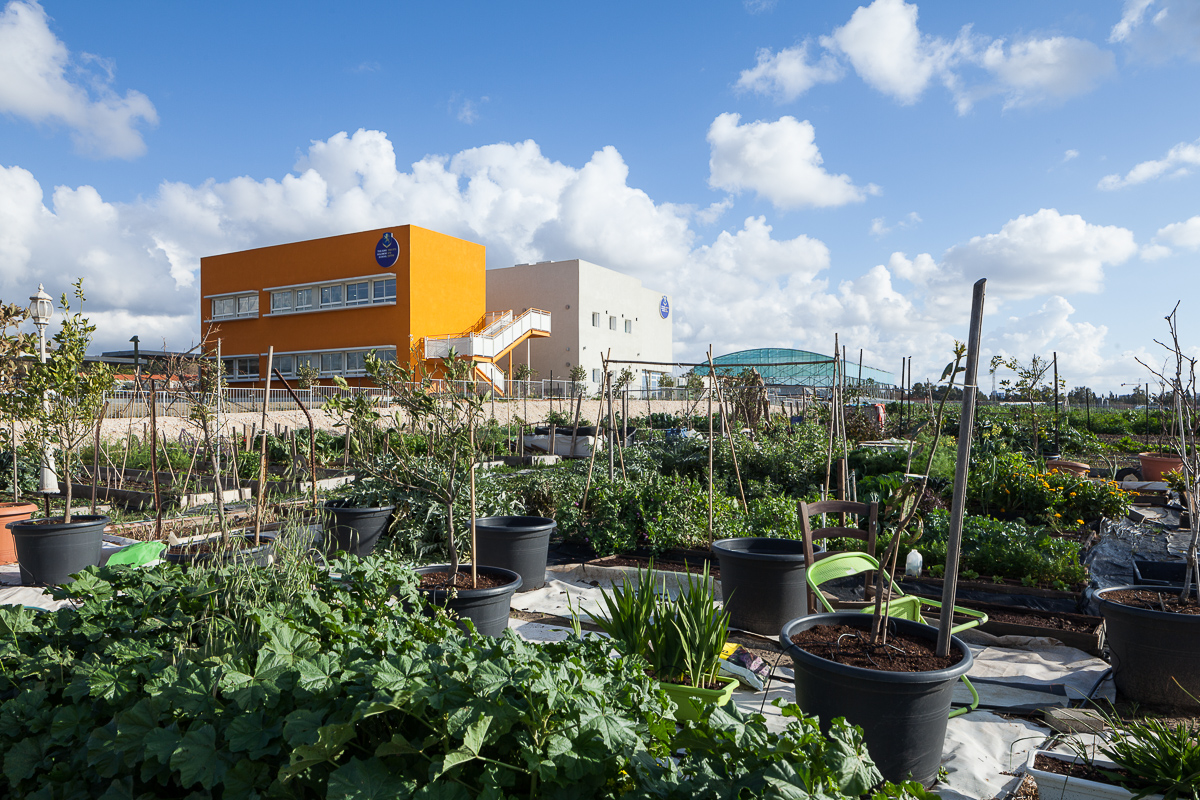 King Solomon Elementary School by Sarit Shani Hay- Shani Hay Design LTD ...
