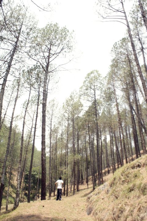 Him Resorts by SHiFt (earlier Sanjay Prakash & Associate) - Architizer