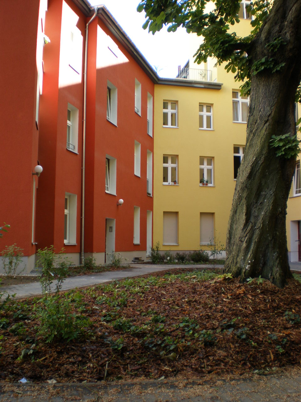 Renovation of two adjacent buildings by Ronski+Burke Architects and ...