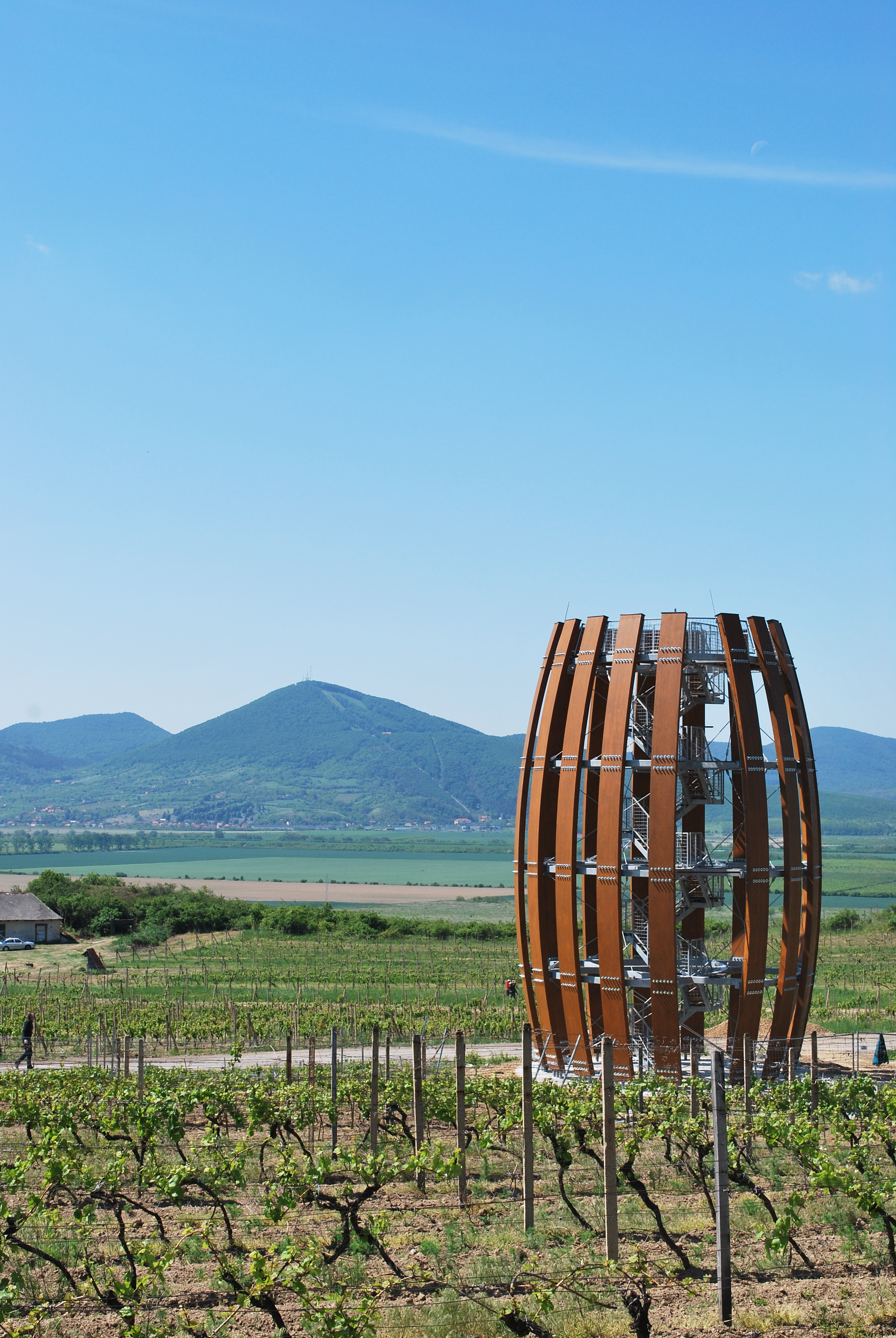 Lookout Tower, Vineyards Tokaj by Eastbrothers architects - Architizer