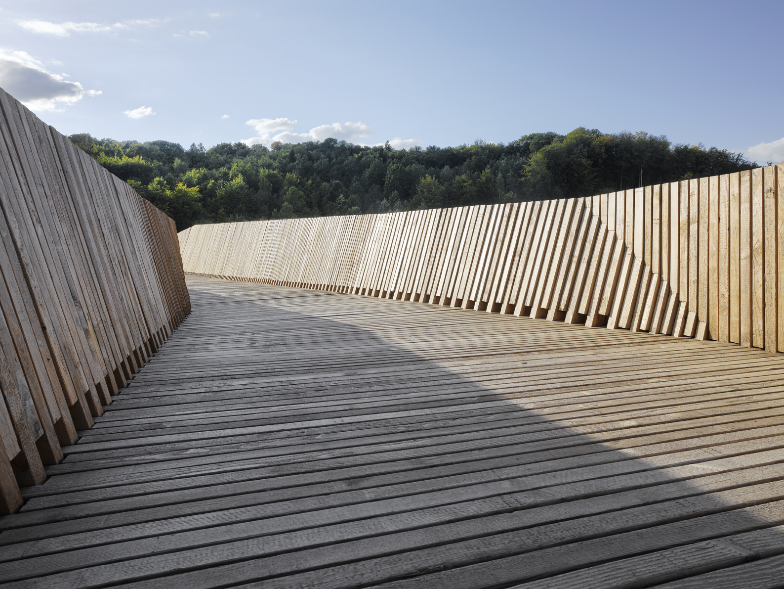 La Sallaz Footbridge by 2b architectes - Architizer