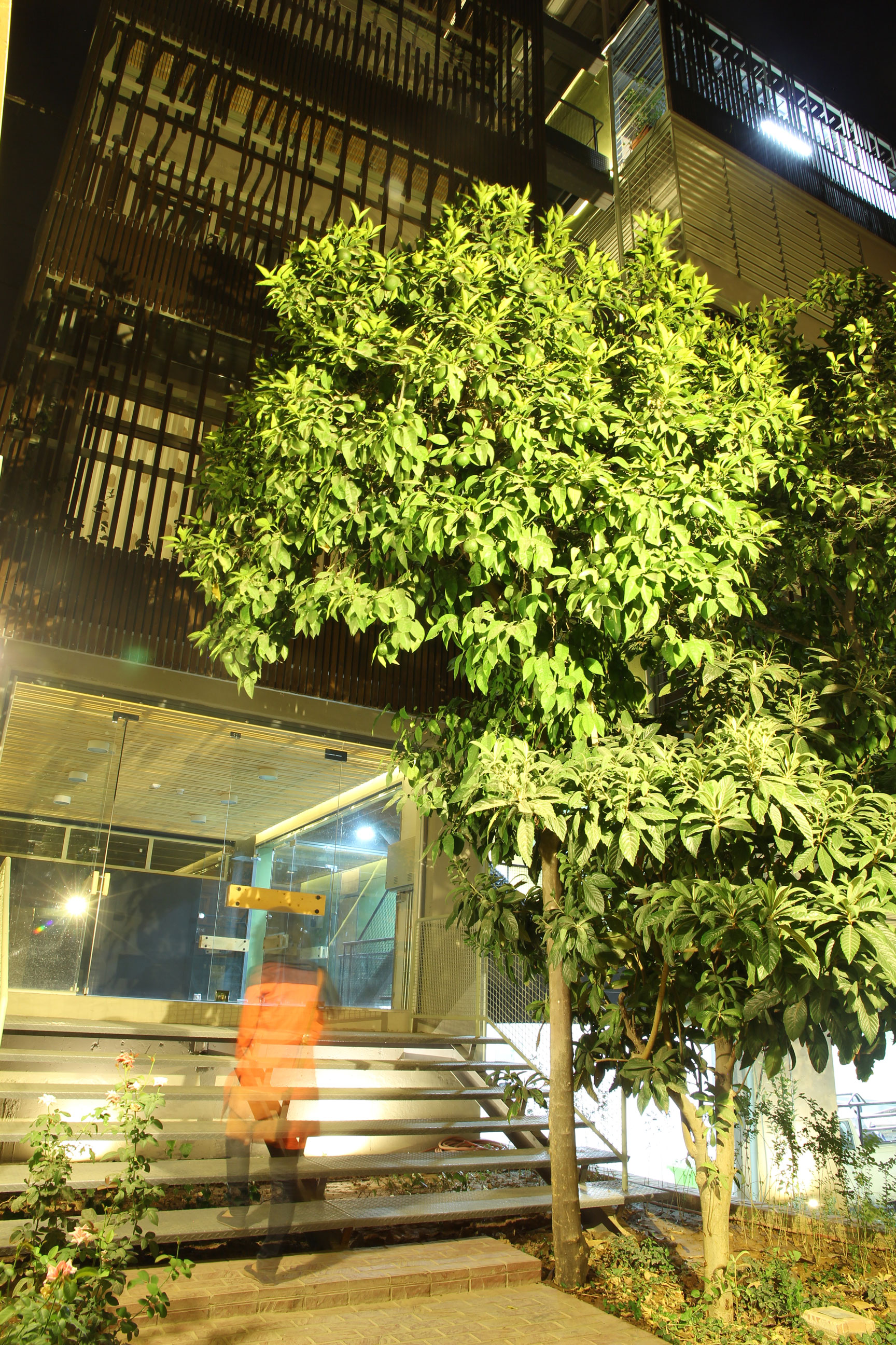 Astaneh Residential by AAA Aknoon Architecture Atelier - Architizer