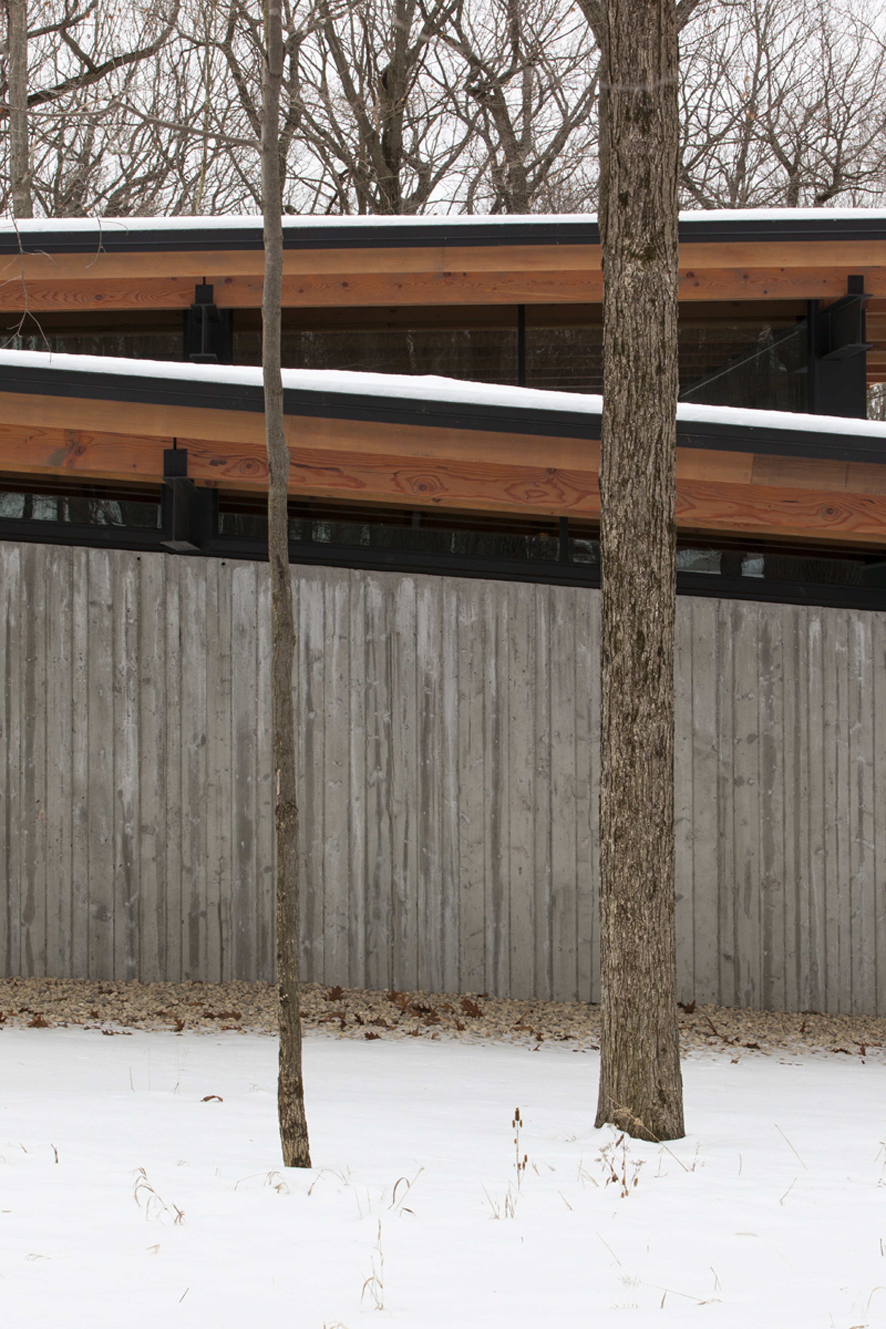 Collector's Pavilion by Vetter Denk - Architizer