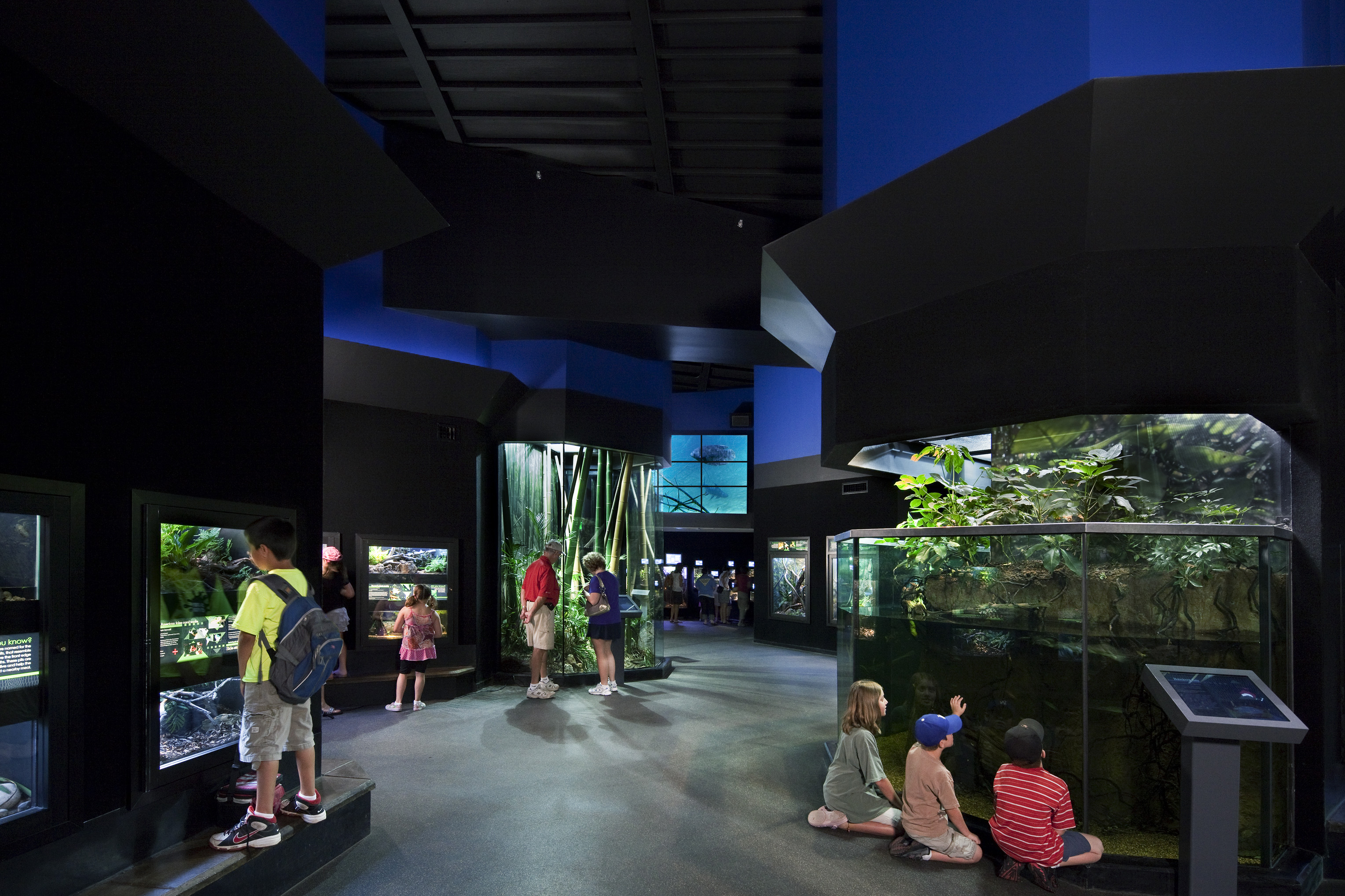 Museum of Living Art (MOLA) at the Fort Worth Zoo by Bennett Benner ...