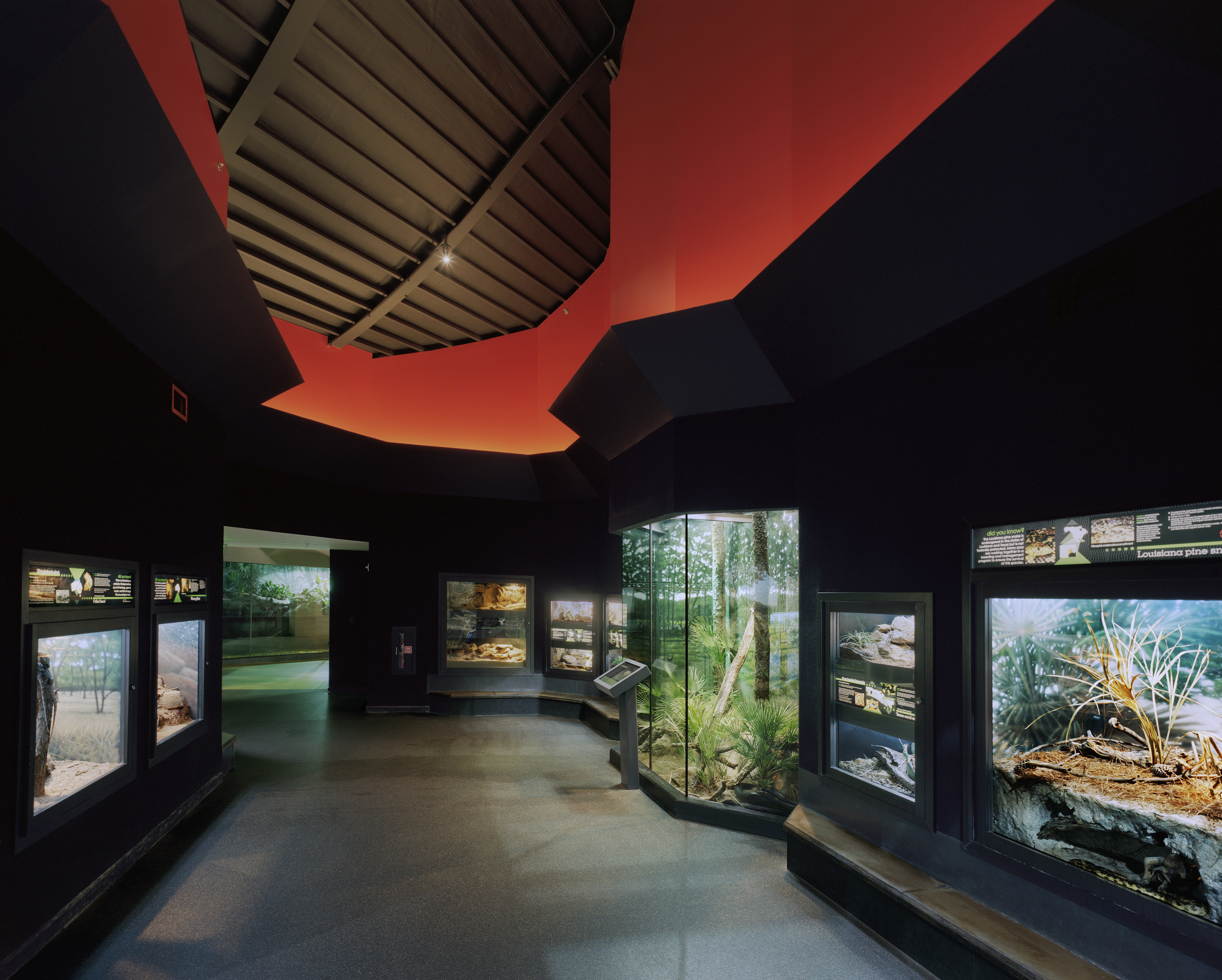 Museum of Living Art (MOLA) at the Fort Worth Zoo by Bennett Benner ...