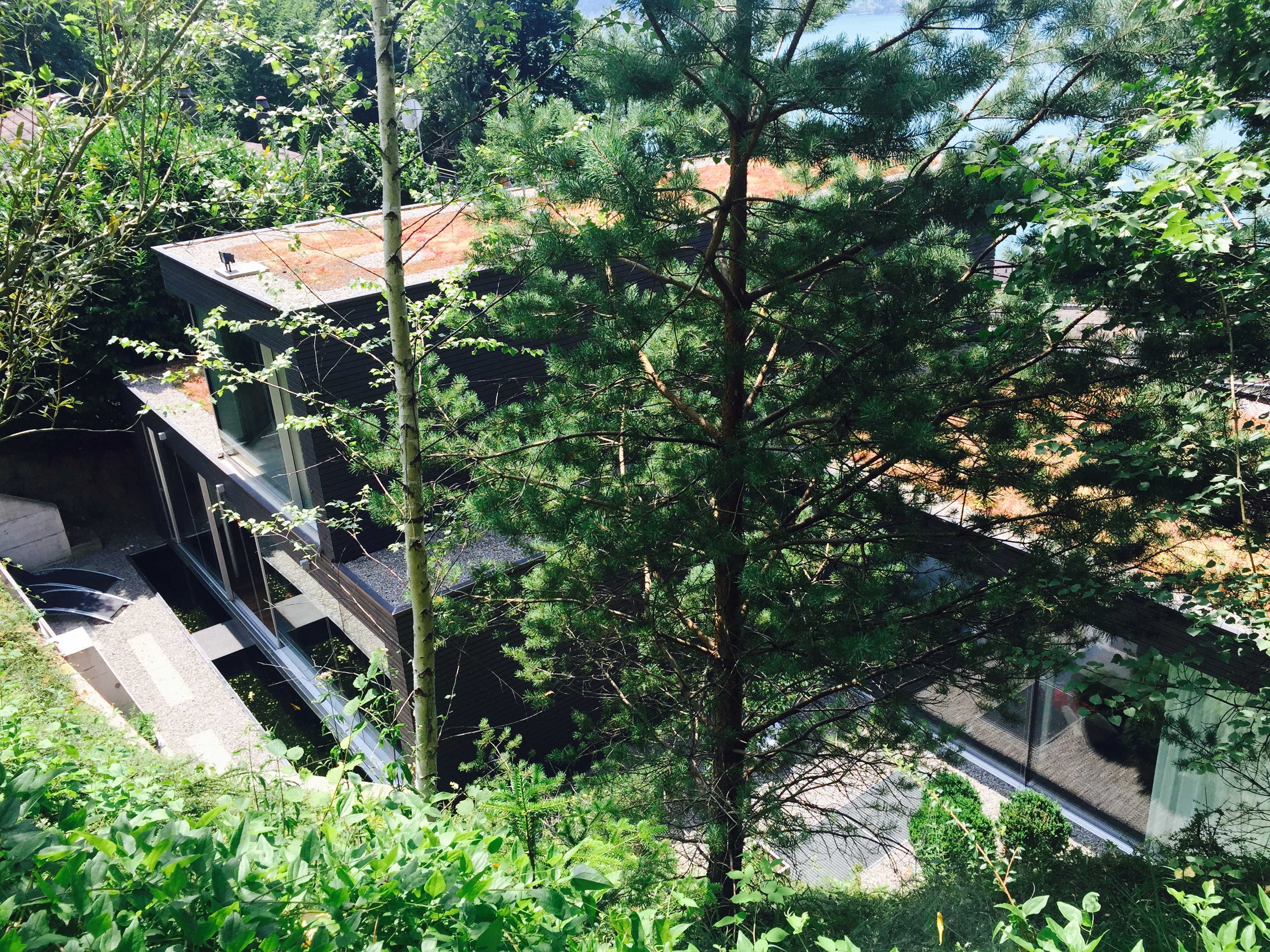 House S by Peter Schellinger Architekt SIA SWB - Architizer