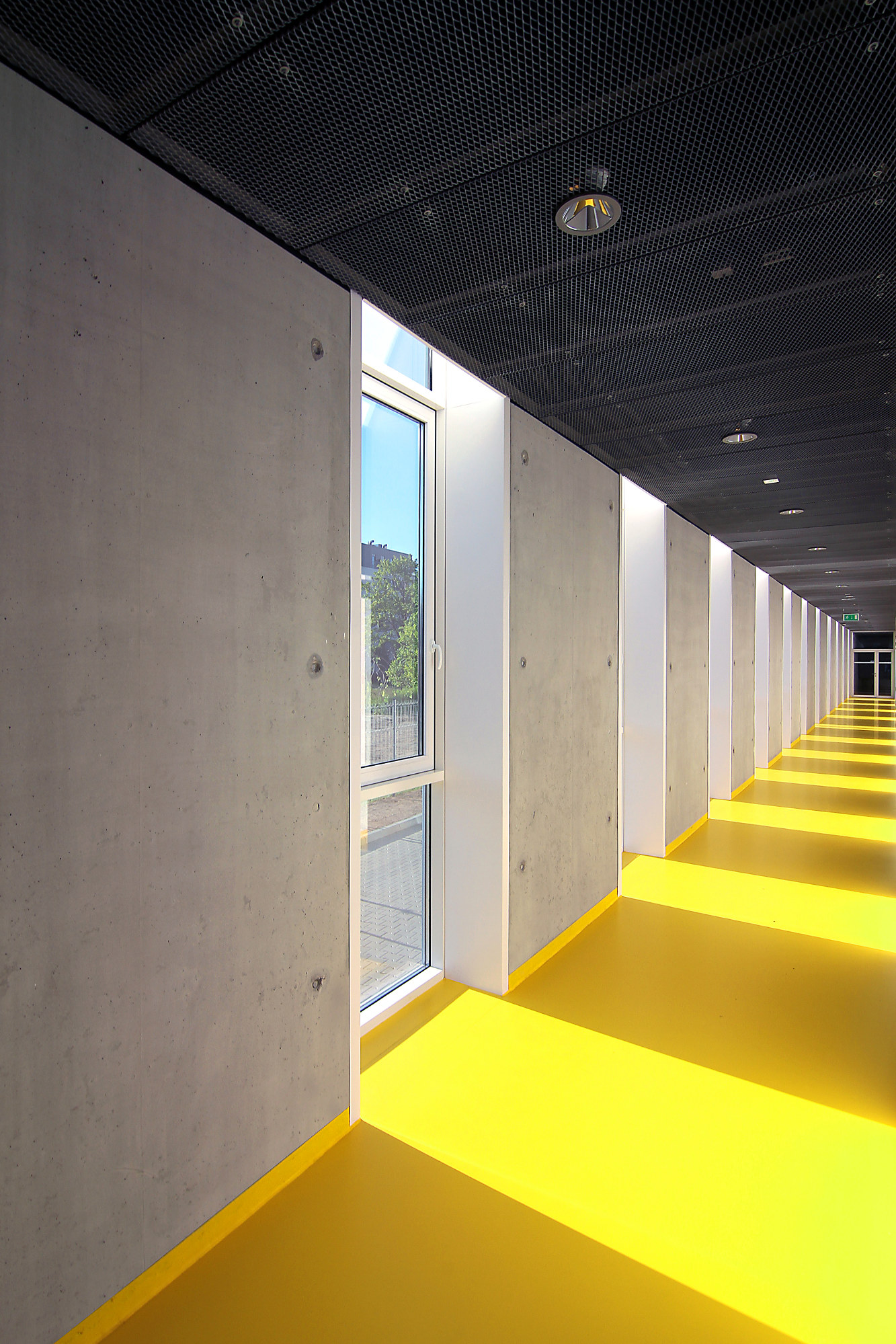 Sports Hall of Academy of Physical Education in Poznan by Neostudio ...