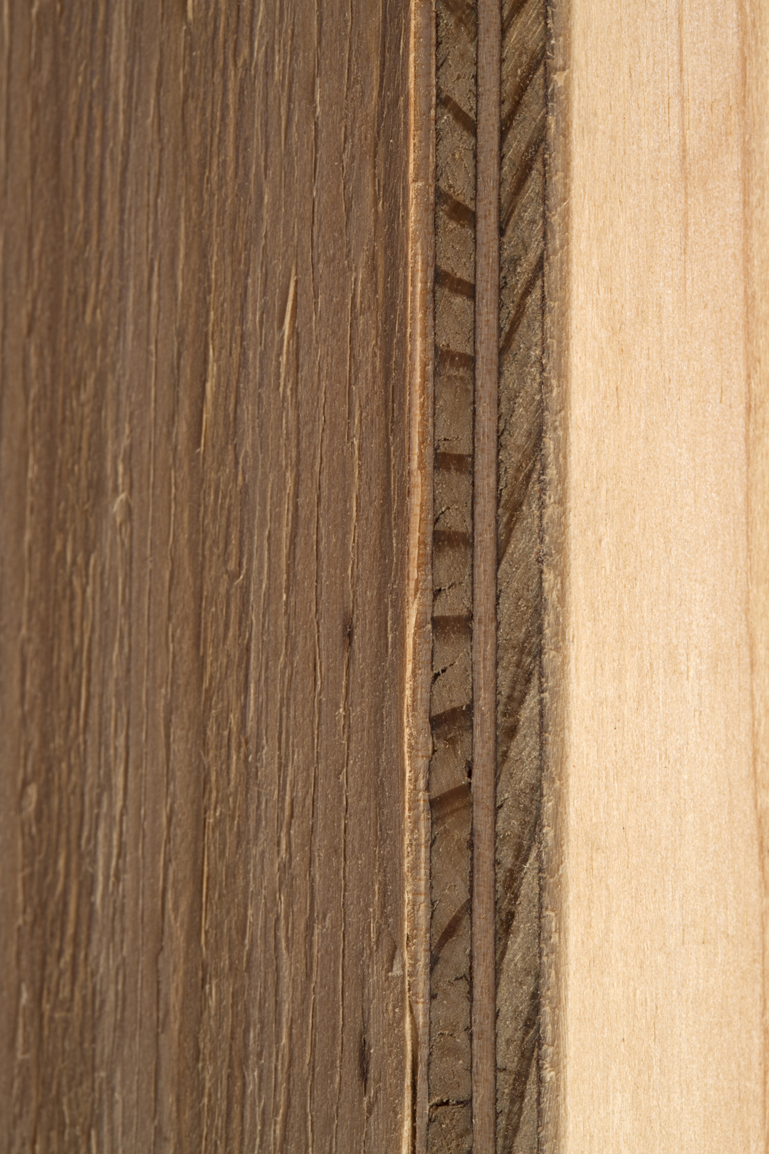 Fly Out House by TTAA /Tatsuyuki Takagi Architects Associates - Architizer