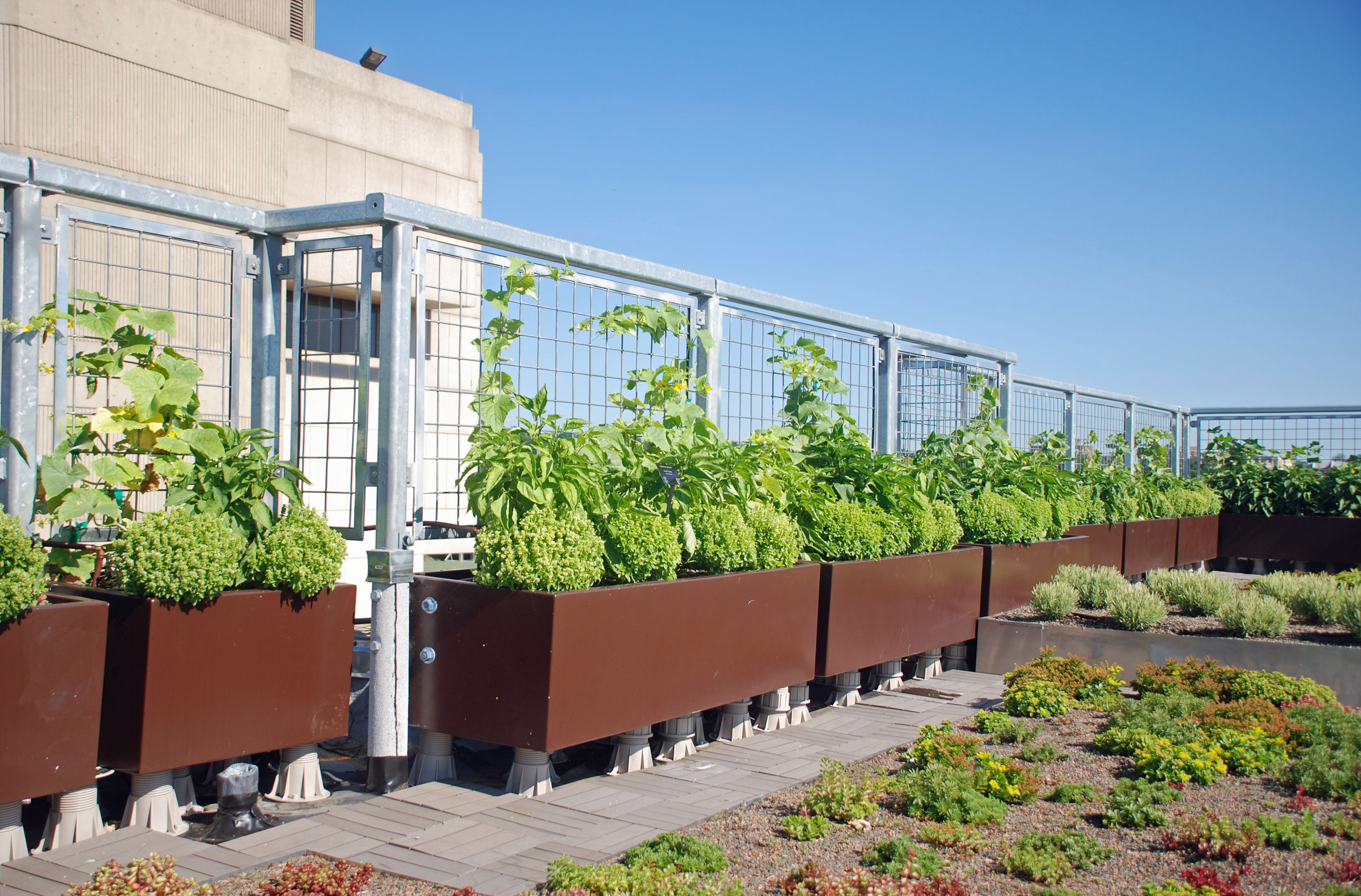 UDC Agriculture Roof by BELL Architects - Architizer
