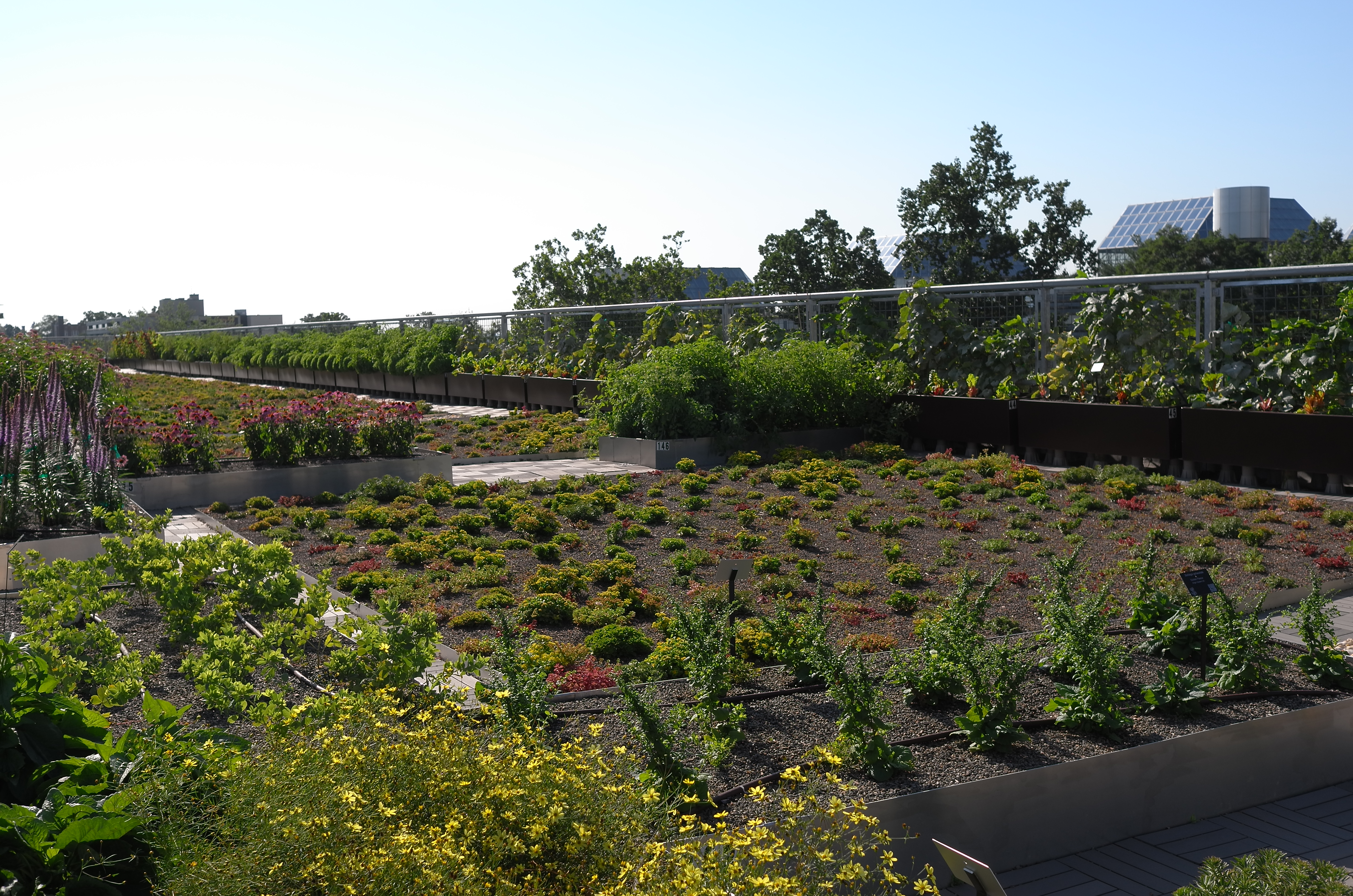 UDC Agriculture Roof by BELL Architects - Architizer