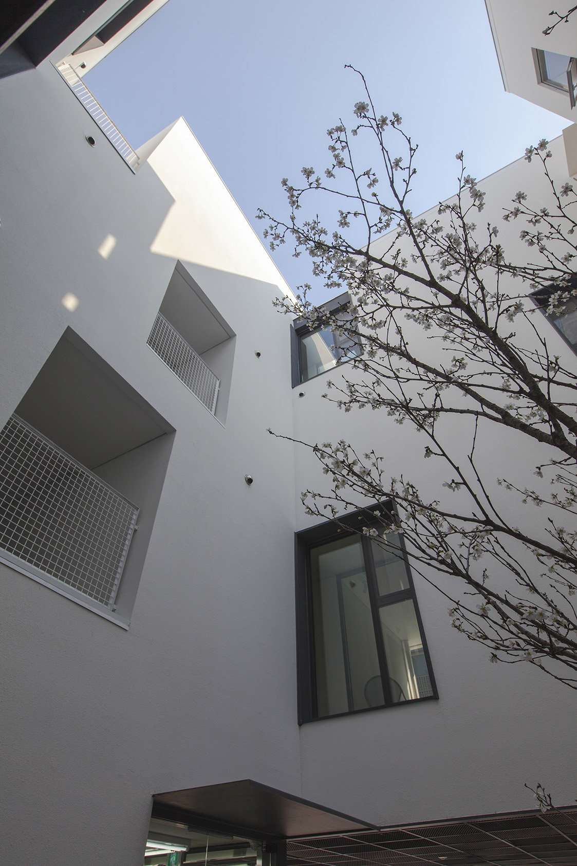 GAP House by Archihood WXY - Architizer