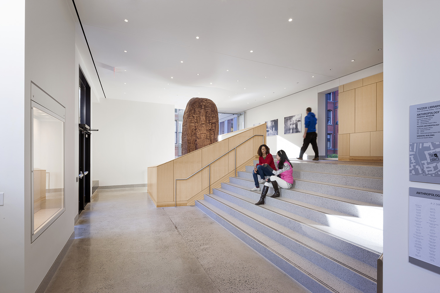 Tozzer Anthropology Building by Kennedy & Violich Architecture - Architizer