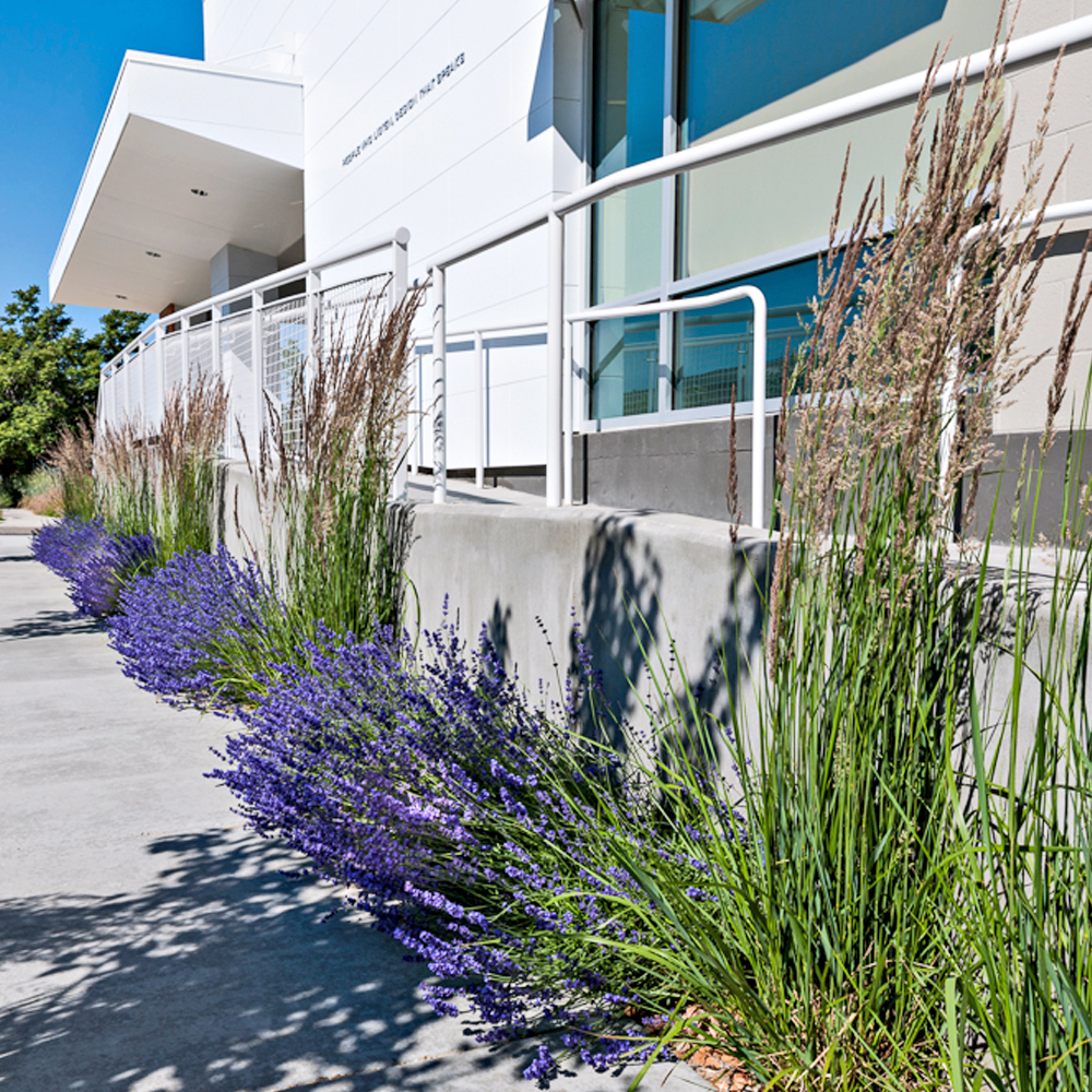 CSHQA – Boise Office by CSHQA - Architizer