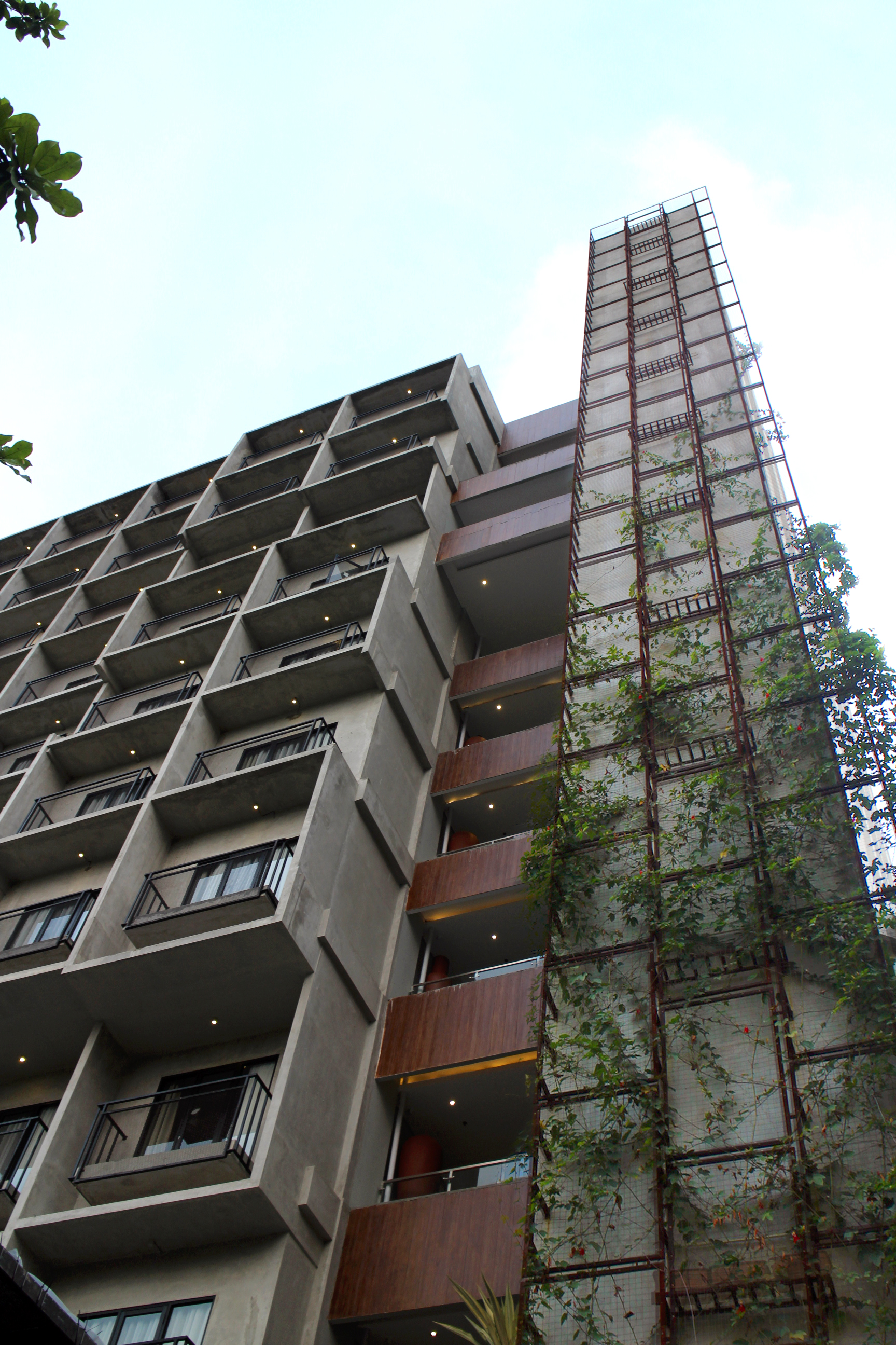 Oak Tree Hotel by PHL Architects - Architizer