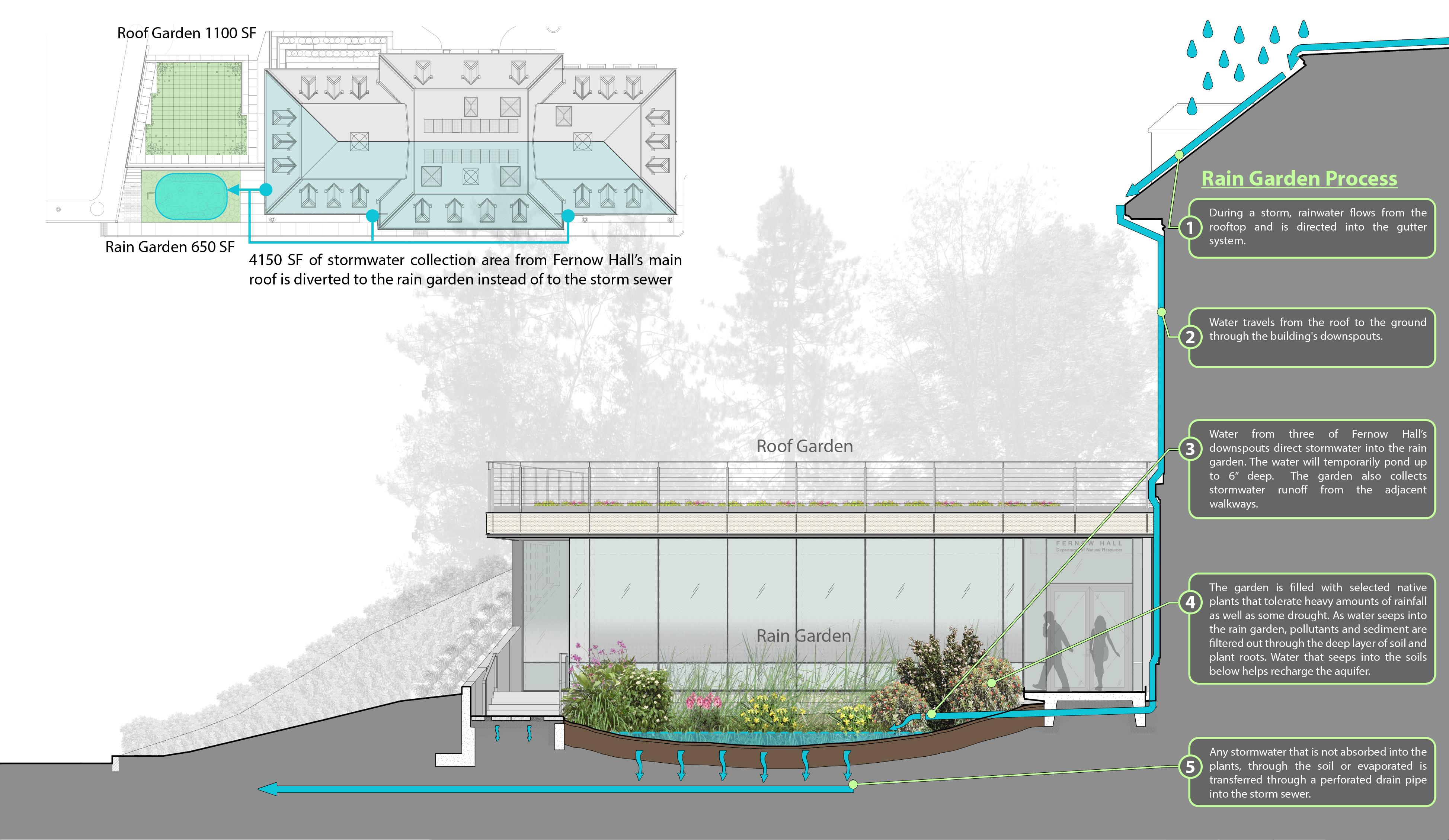 Cornell University Fernow Hall Addition & Landscape Design by di ...