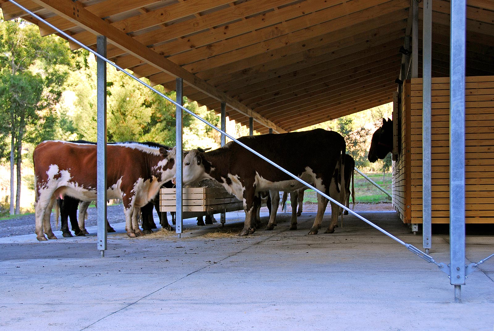 Horse Stable by 57studio - Architizer