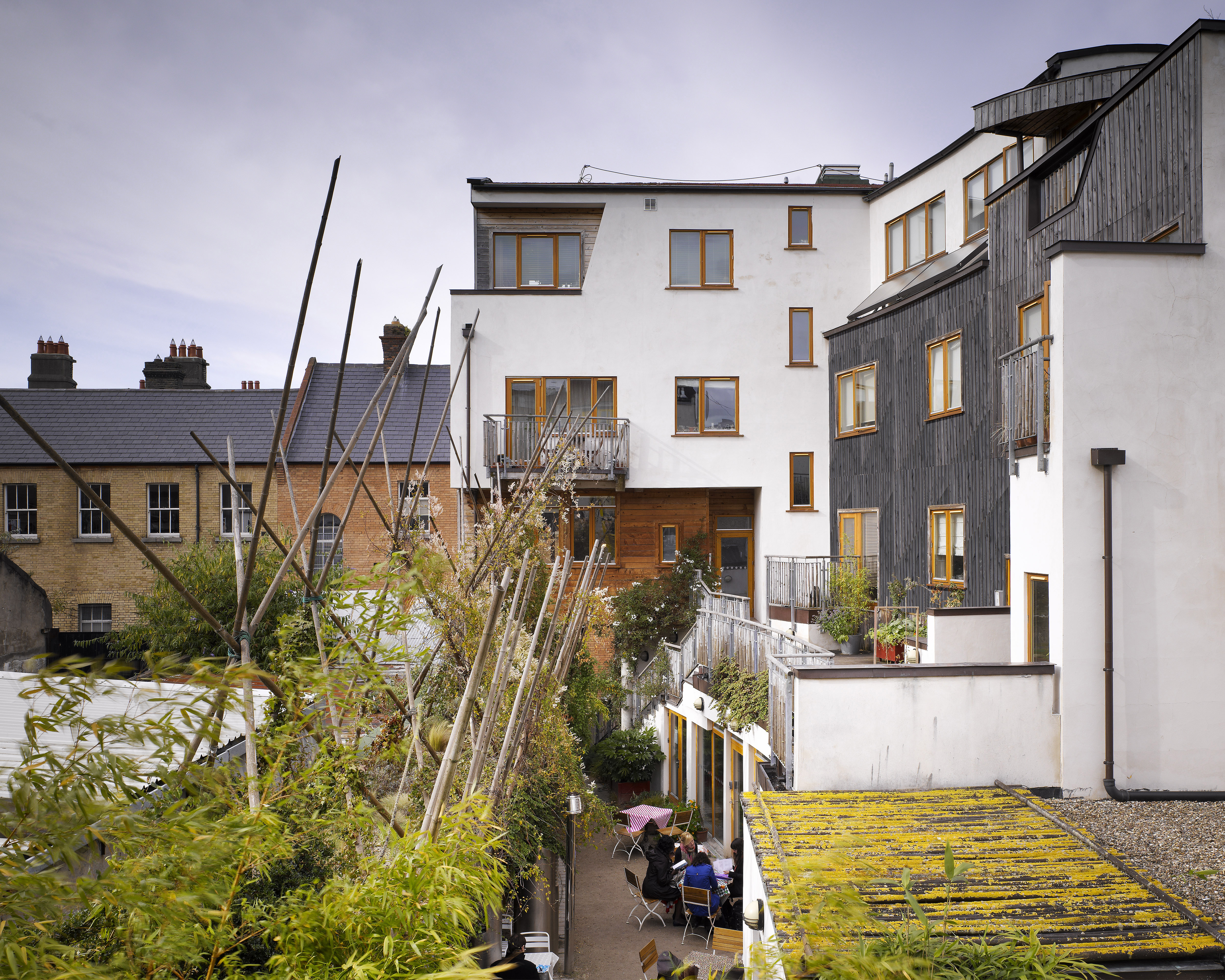 The Daintree Building by Solearth Architecture - Architizer