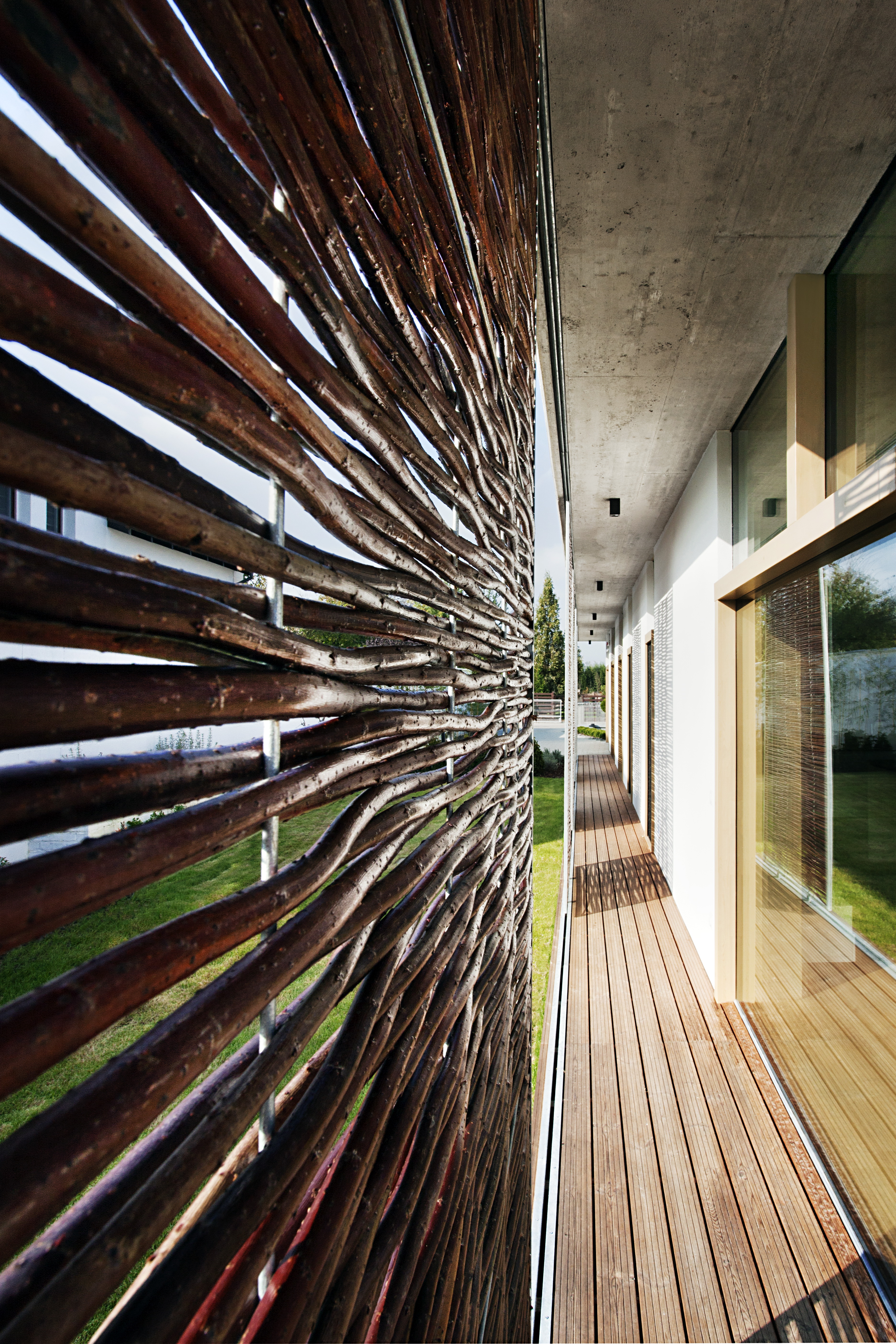 TD House by sporaarchitects - Architizer