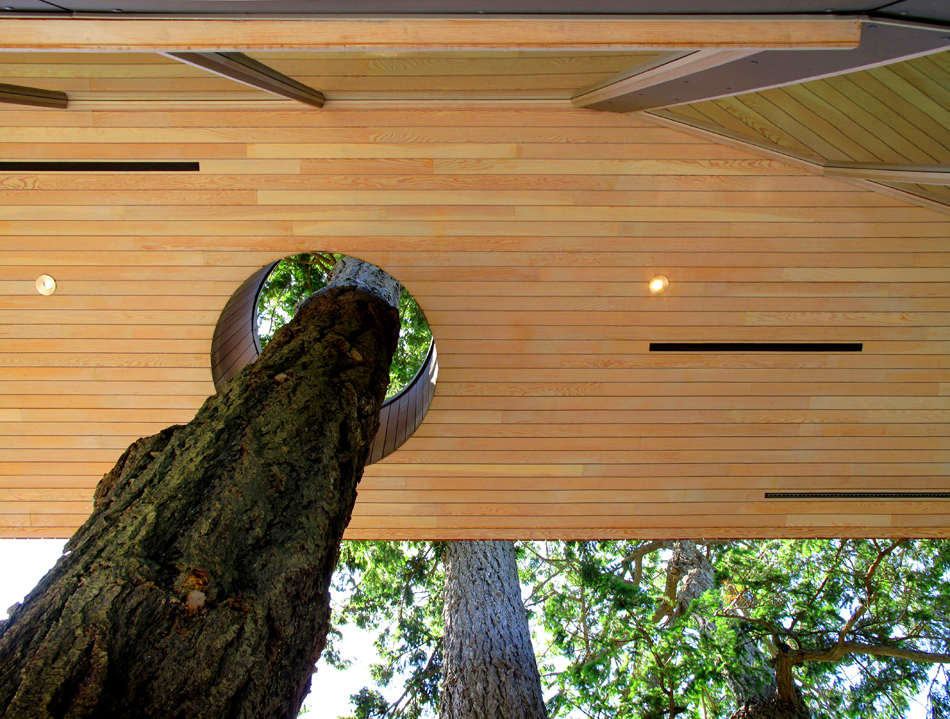 TREE:hugger by INTERSTICE Architects - Architizer