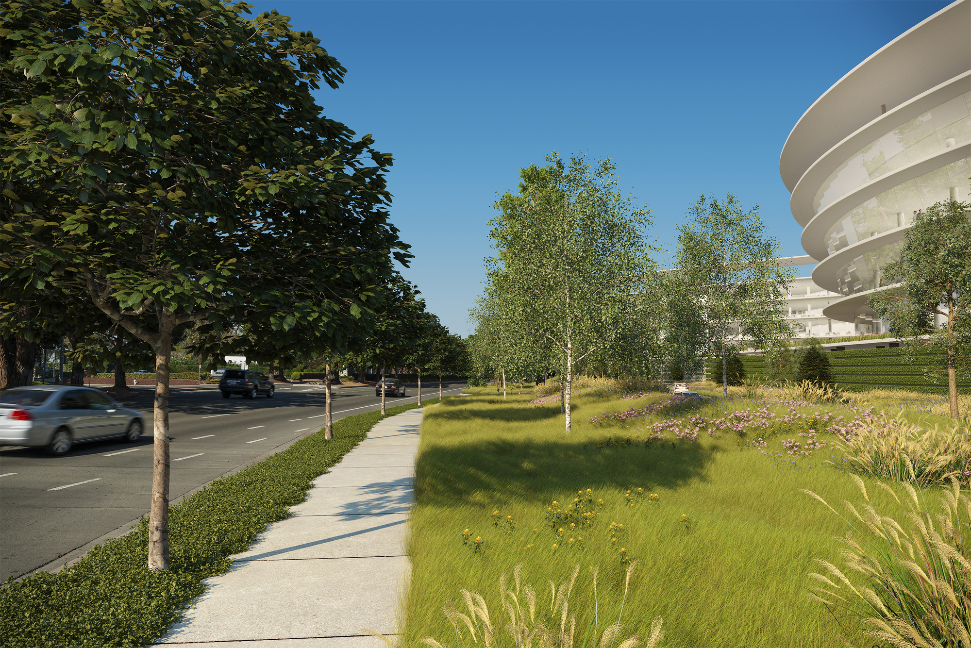 The Central & Wolfe Campus by HOK - Architizer