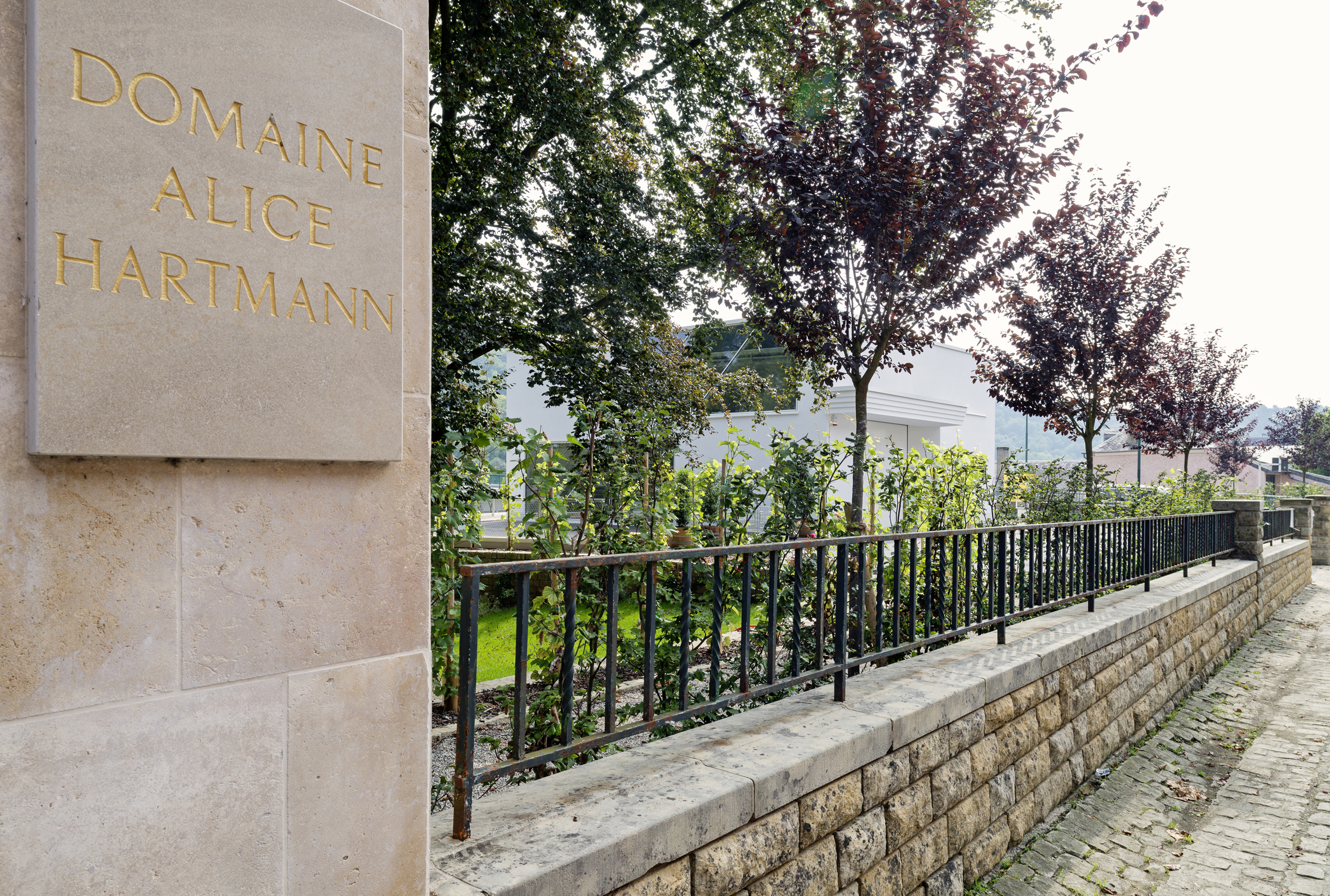 DOMAINE ALICE HARTMANN by DAGLI AND - Architizer