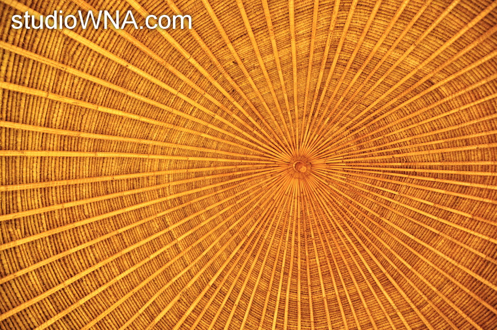 Studio WNA - Architizer