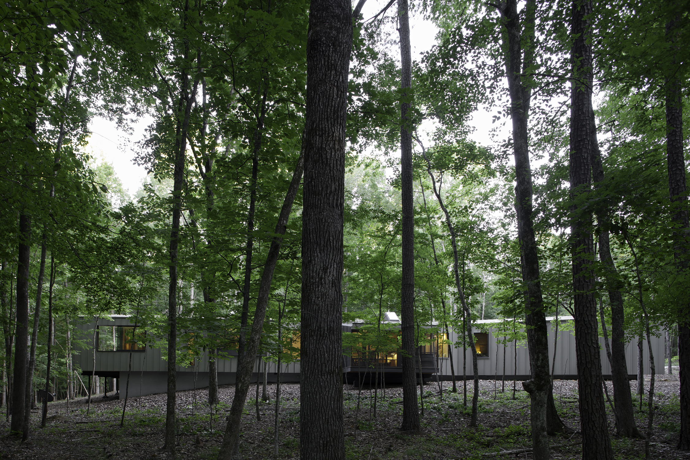 a house named Fred by in situ studio - Architizer