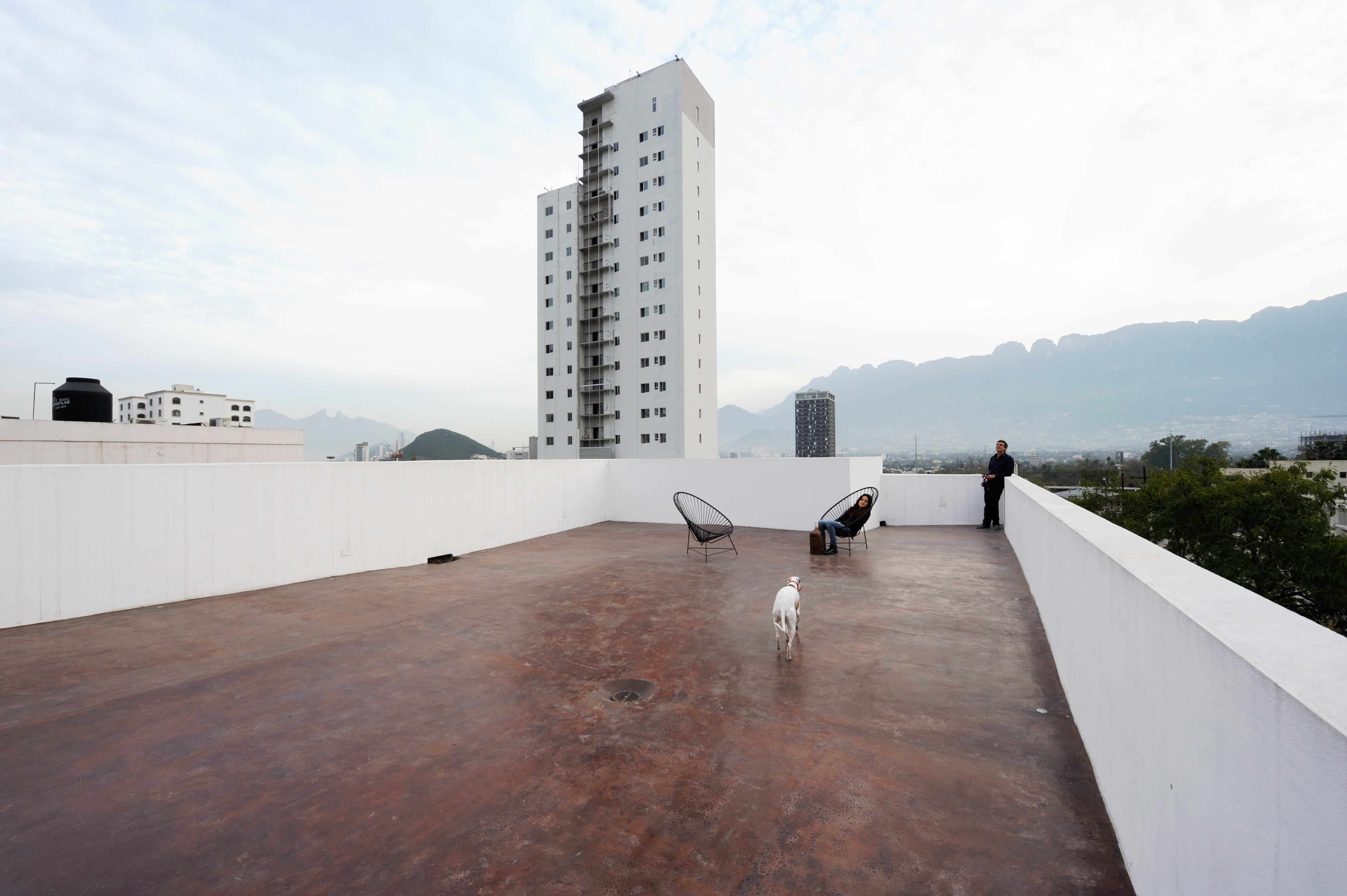 CS HOUSES by P+0 Architecture - Architizer