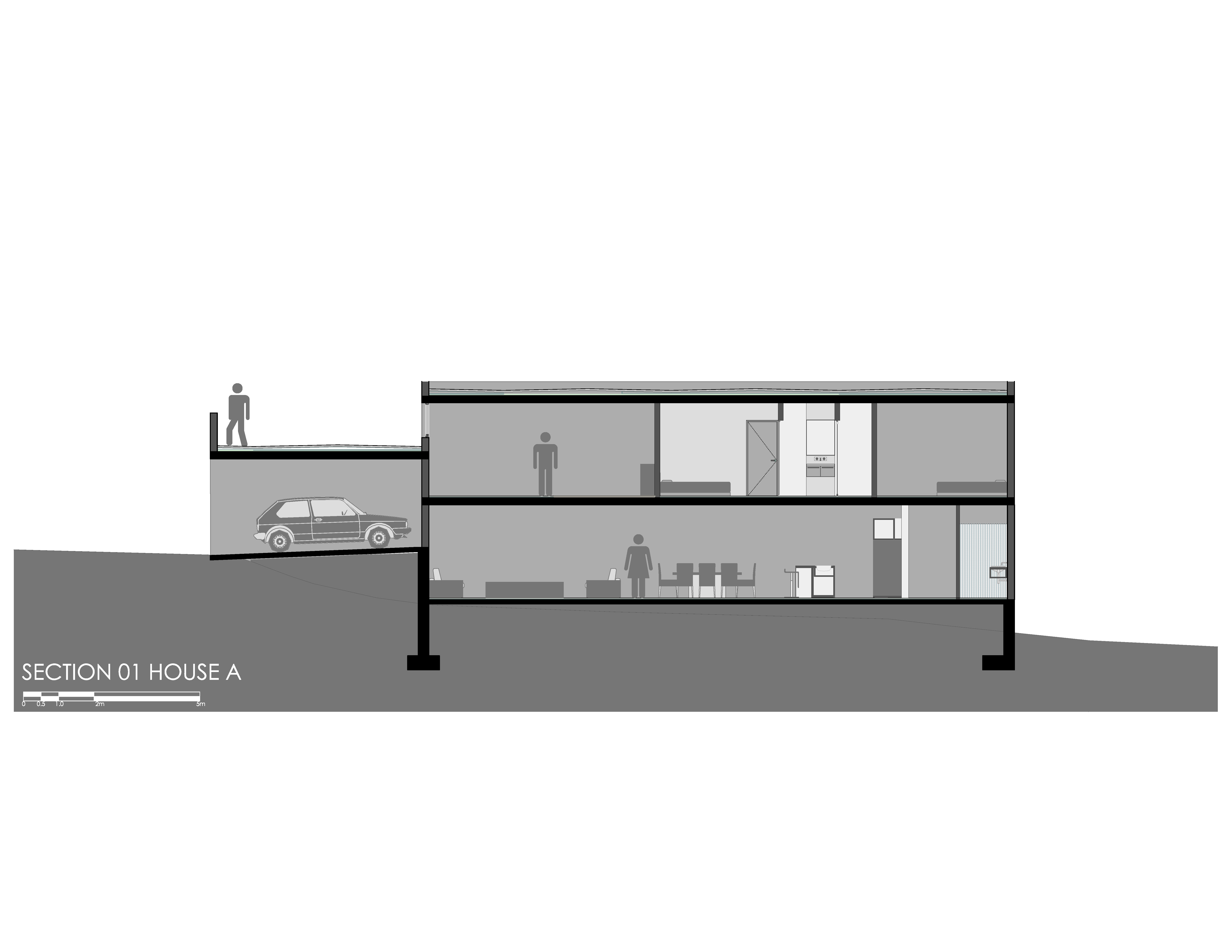 CS HOUSES by P+0 Architecture - Architizer