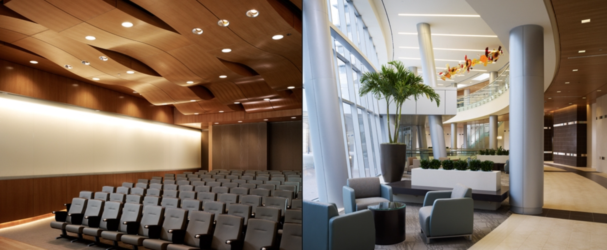 Baylor Charles A. Sammons Cancer Center by Perkins&Will - Architizer