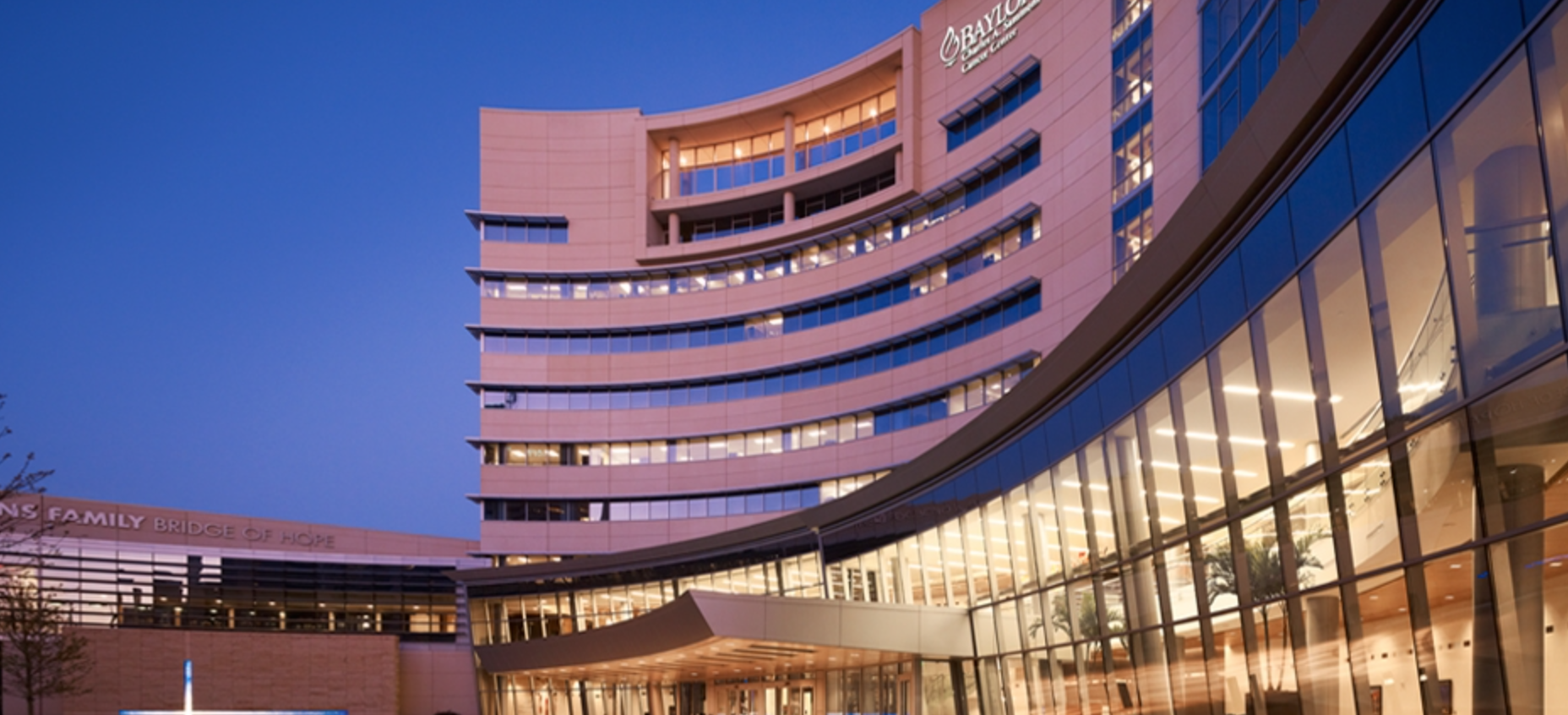 Baylor Charles A. Sammons Cancer Center by Perkins&Will - Architizer