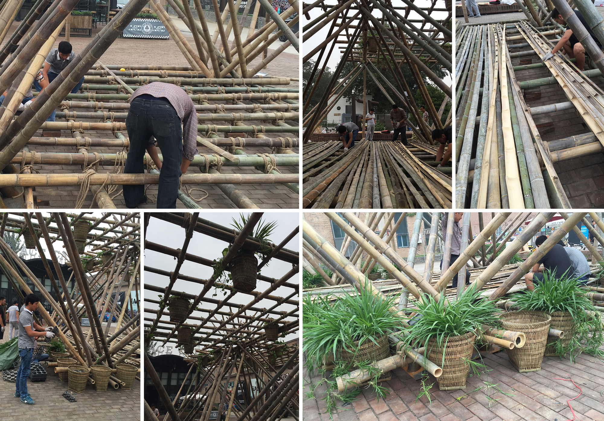 Rising Canes Pavilion by Precht - Architizer