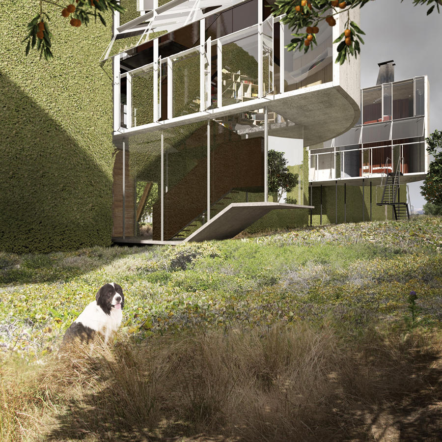 Hedge House by JAG Architecture - Architizer