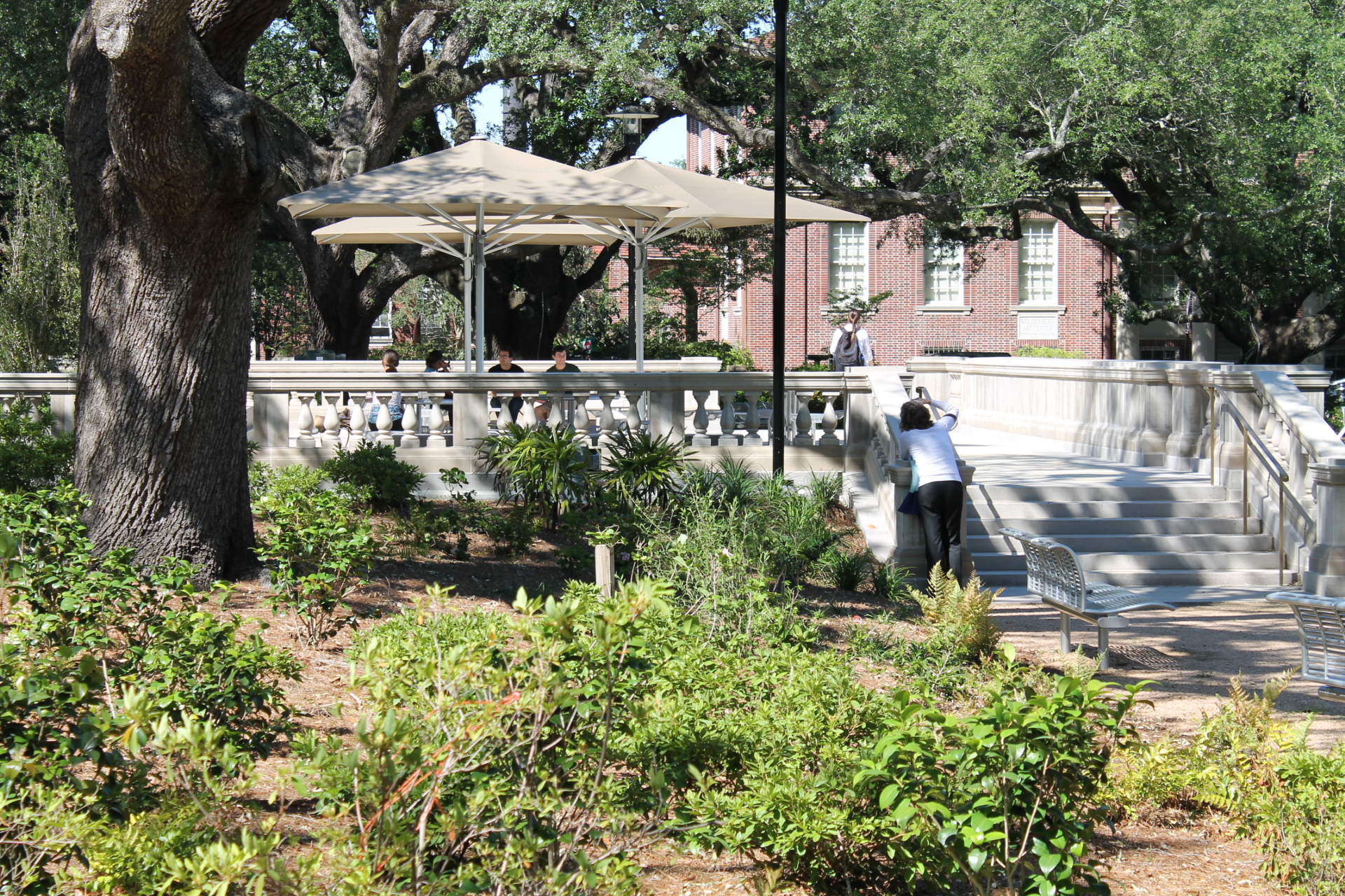 Tulane University - Benenson Plaza by Towers | Golde - Architizer