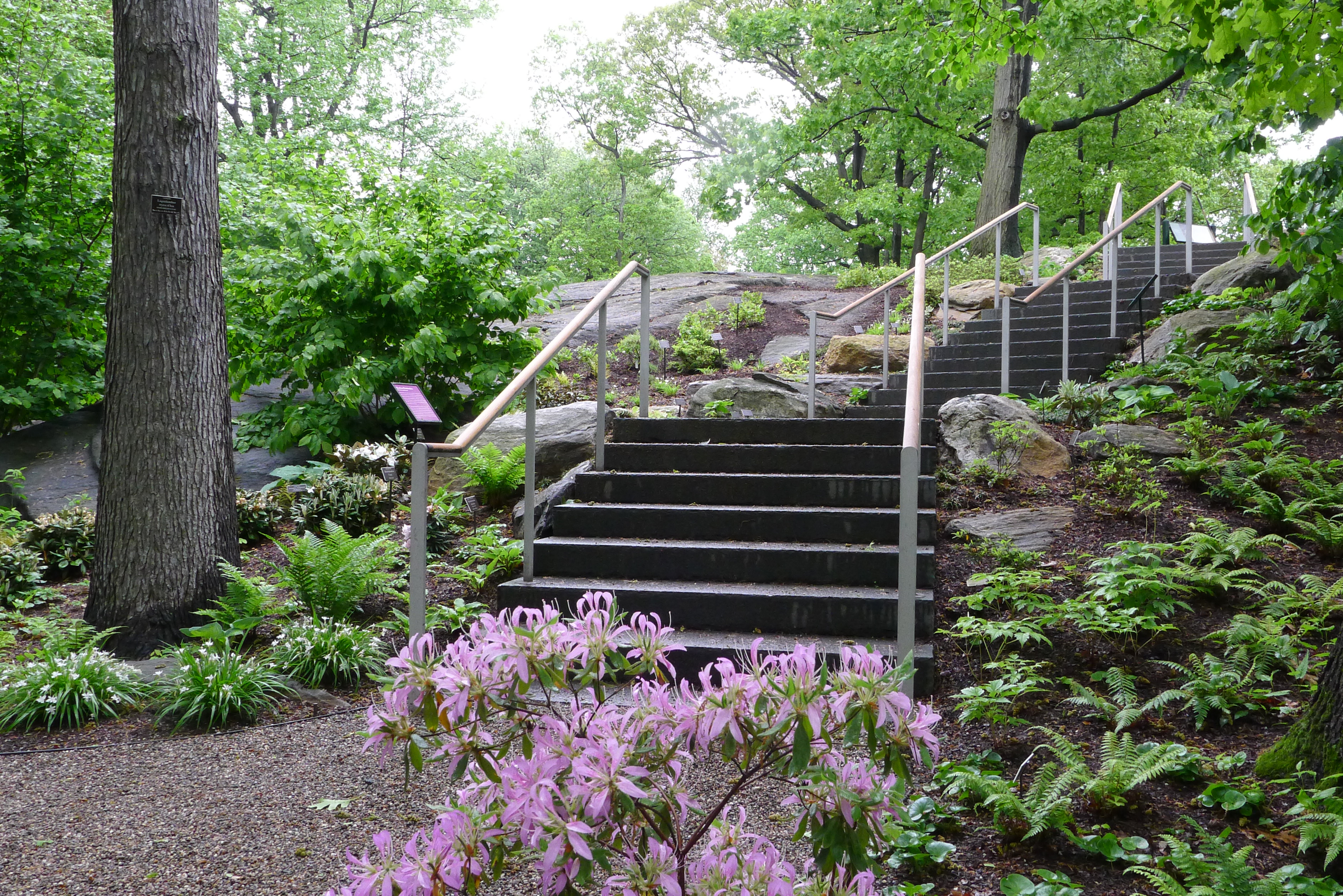New York Botanical Garden - Azalea Way by Towers | Golde - Architizer