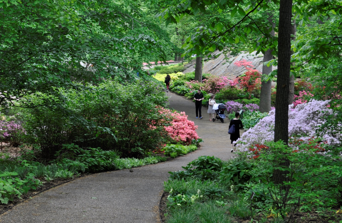 New York Botanical Garden - Azalea Way by Towers | Golde - Architizer