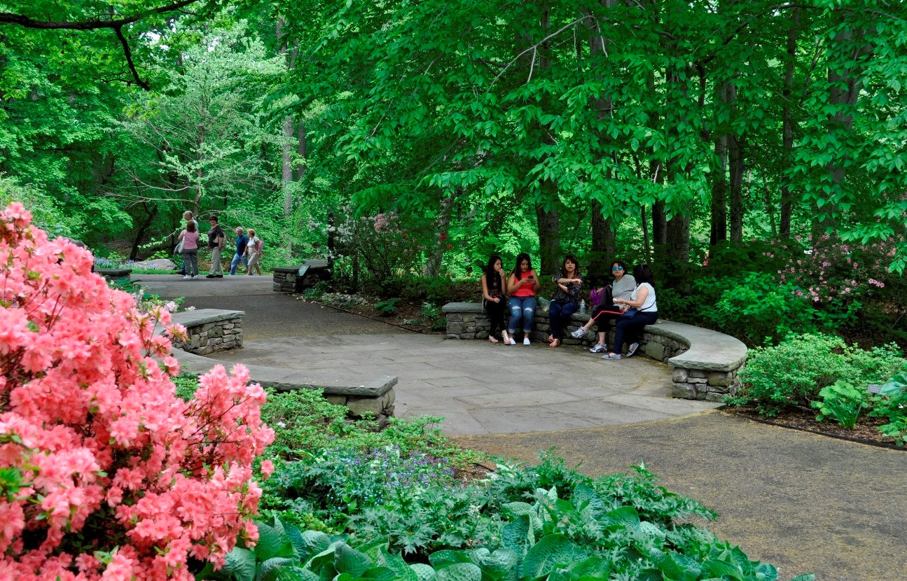 New York Botanical Garden - Azalea Way by Towers | Golde - Architizer