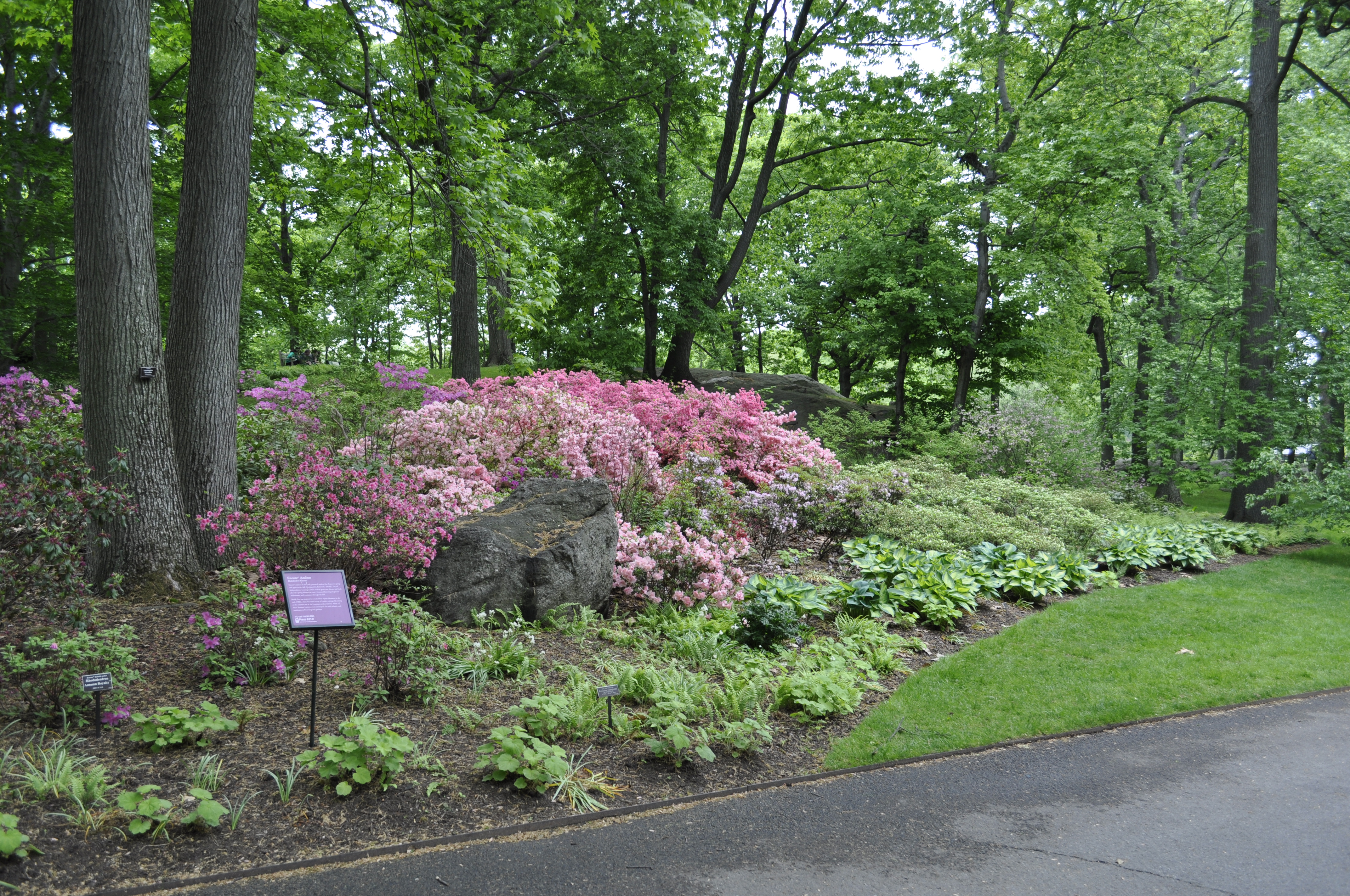 New York Botanical Garden - Azalea Way by Towers | Golde - Architizer