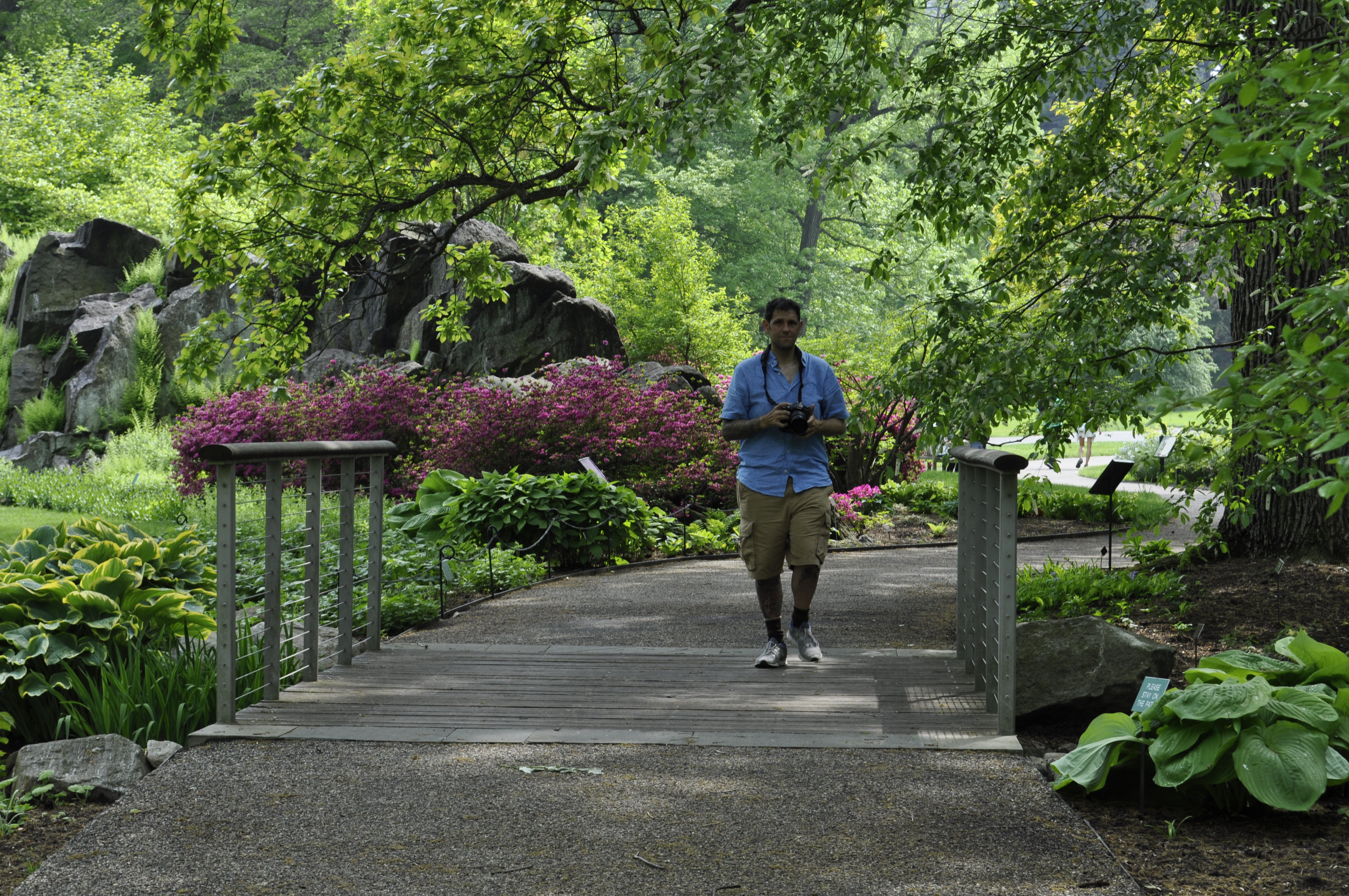 New York Botanical Garden - Azalea Way by Towers | Golde - Architizer