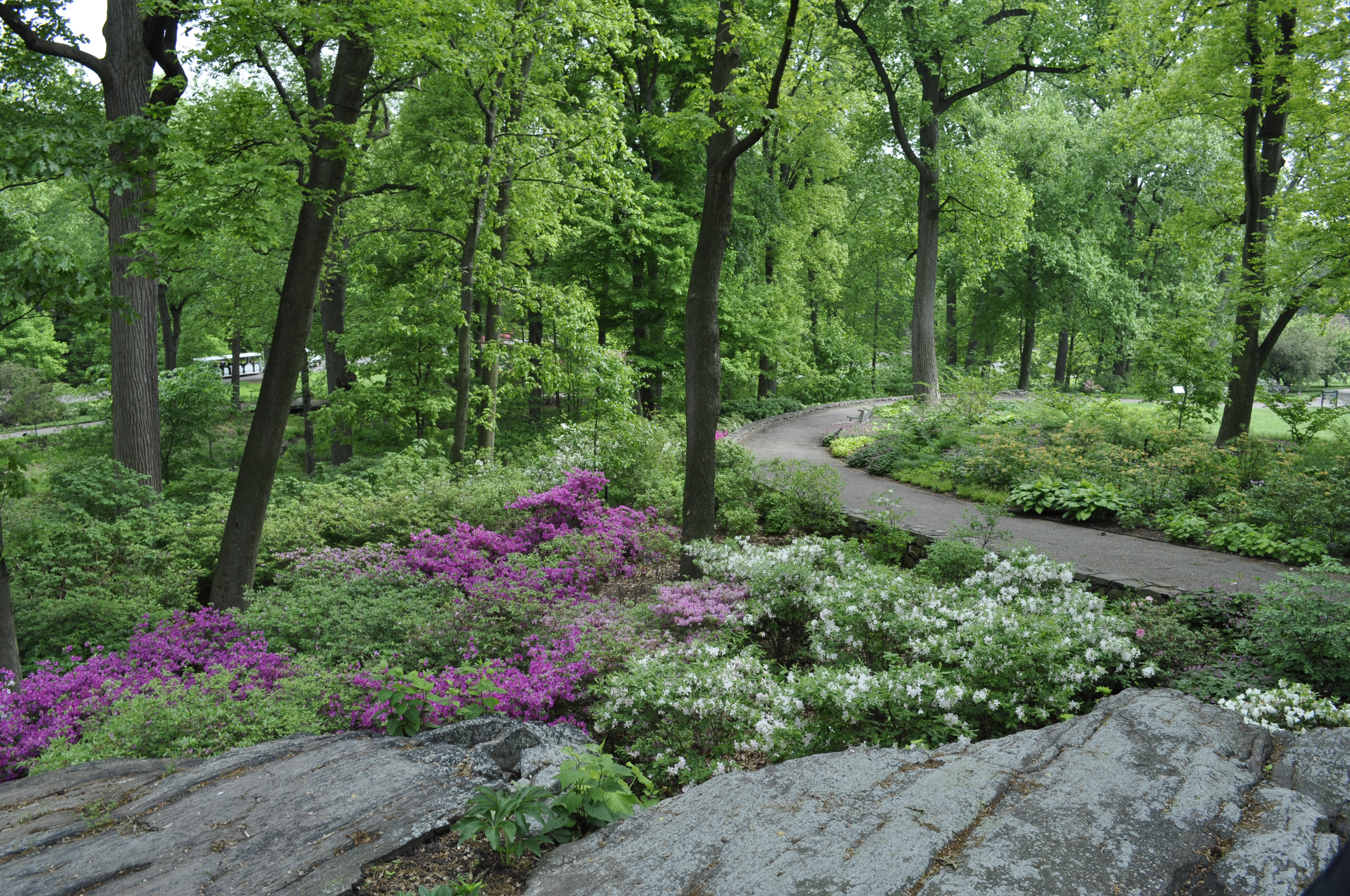 New York Botanical Garden - Azalea Way by Towers | Golde - Architizer