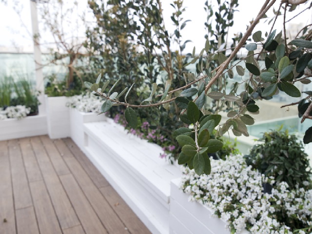 Raanana by Landscrapers Ra'anana - Architizer