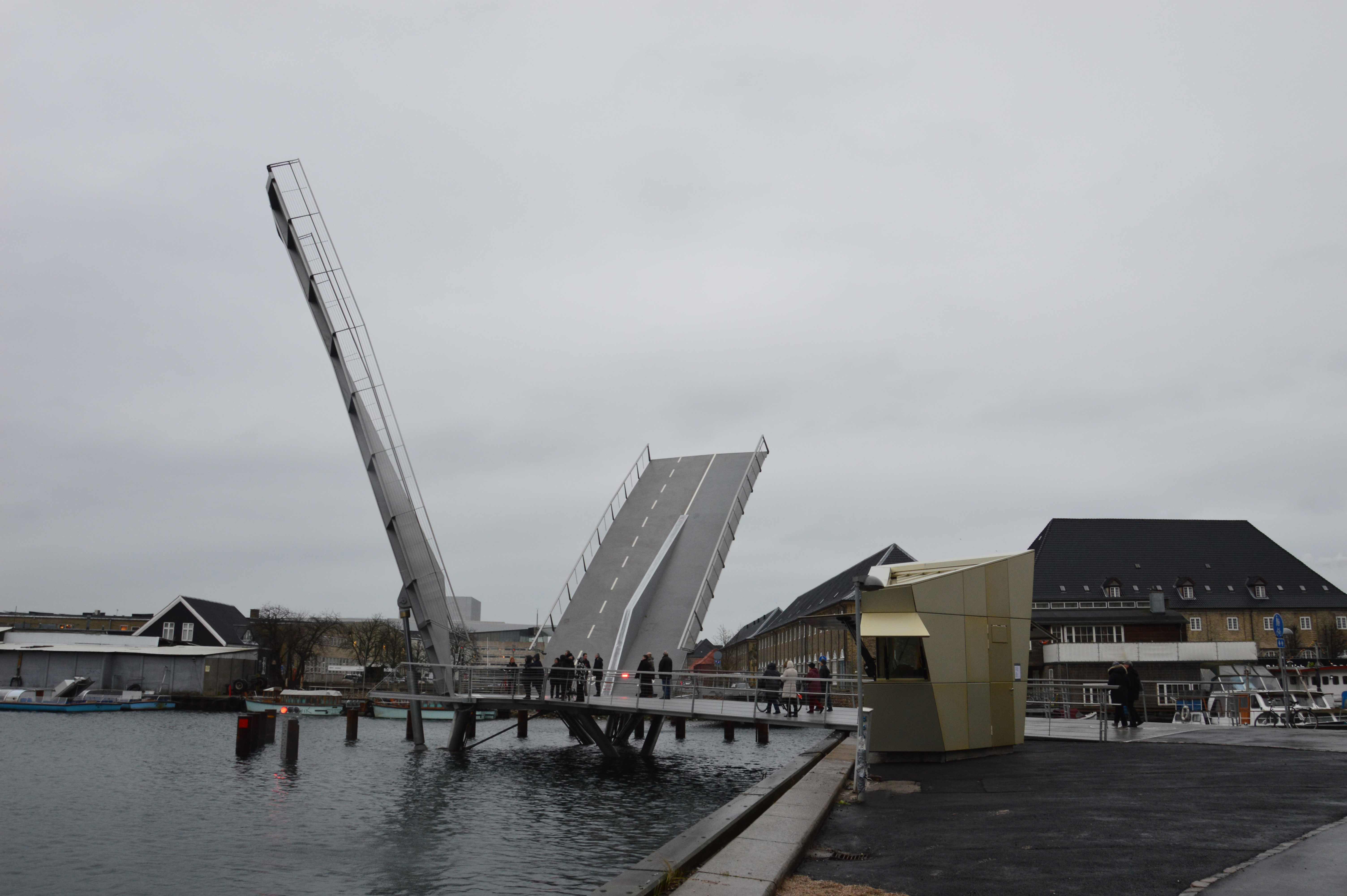 Butterfly Bridge by Dietmar Feichtinger Architectes - Architizer
