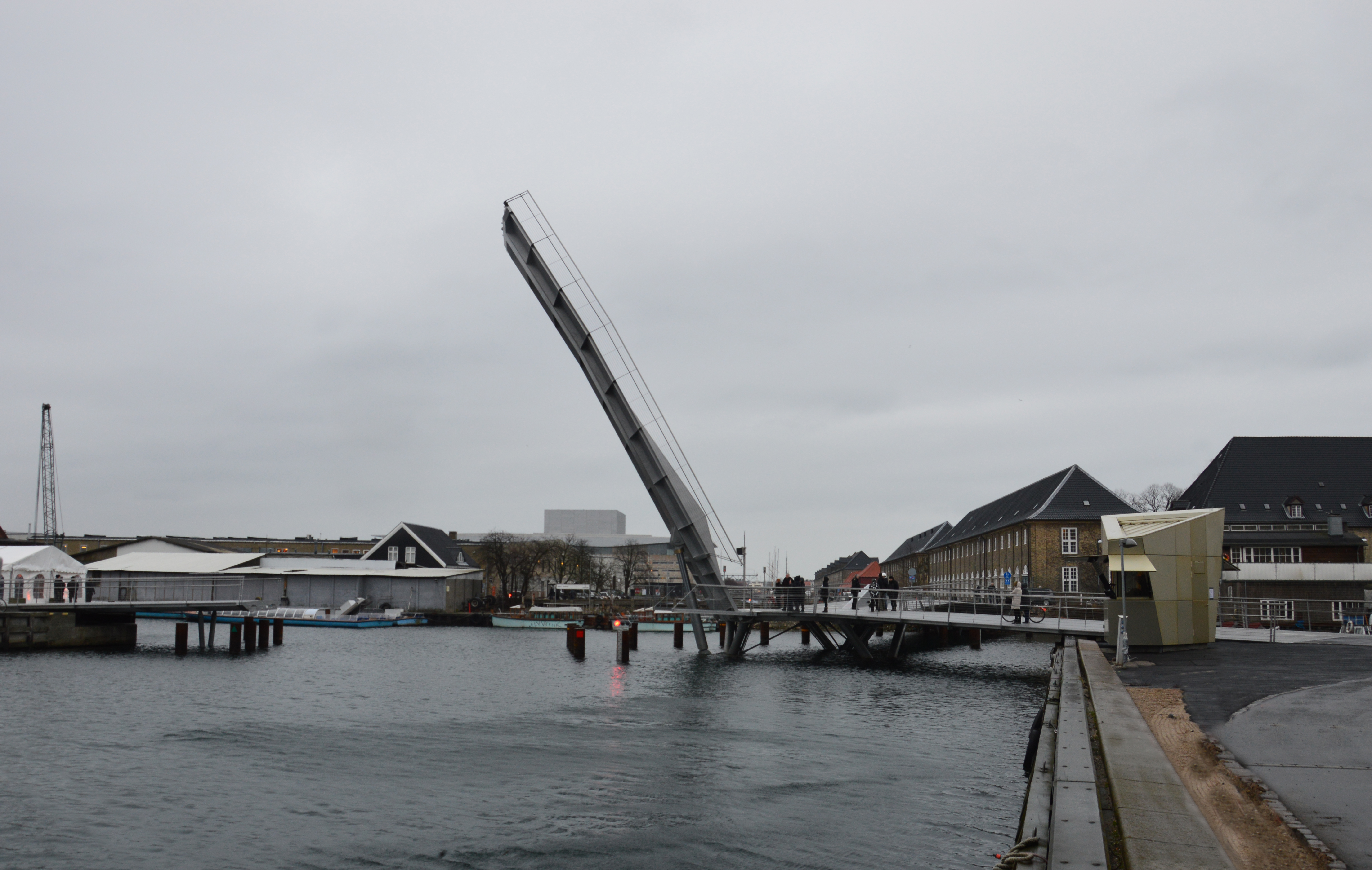 Butterfly Bridge by Dietmar Feichtinger Architectes - Architizer