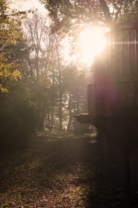 Timbertop Hangout Treehouse by Blue Forest (UK) Ltd - Treehouses ...