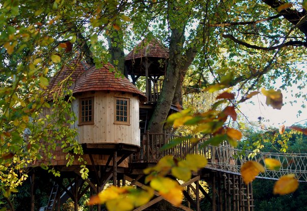 Chewton Glen Treehouse Suites by Blue Forest (UK) Ltd - Treehouses ...
