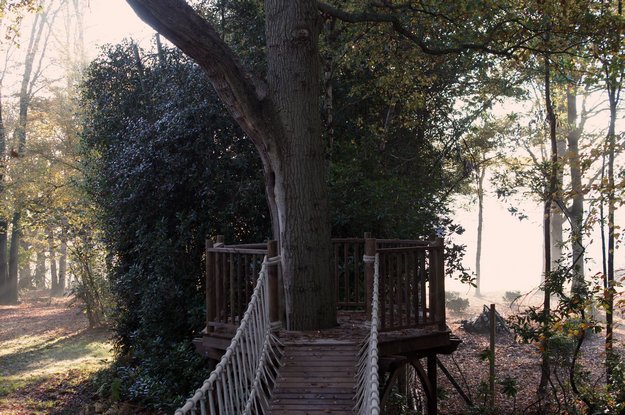 Timbertop Hangout Treehouse by Blue Forest (UK) Ltd - Treehouses ...